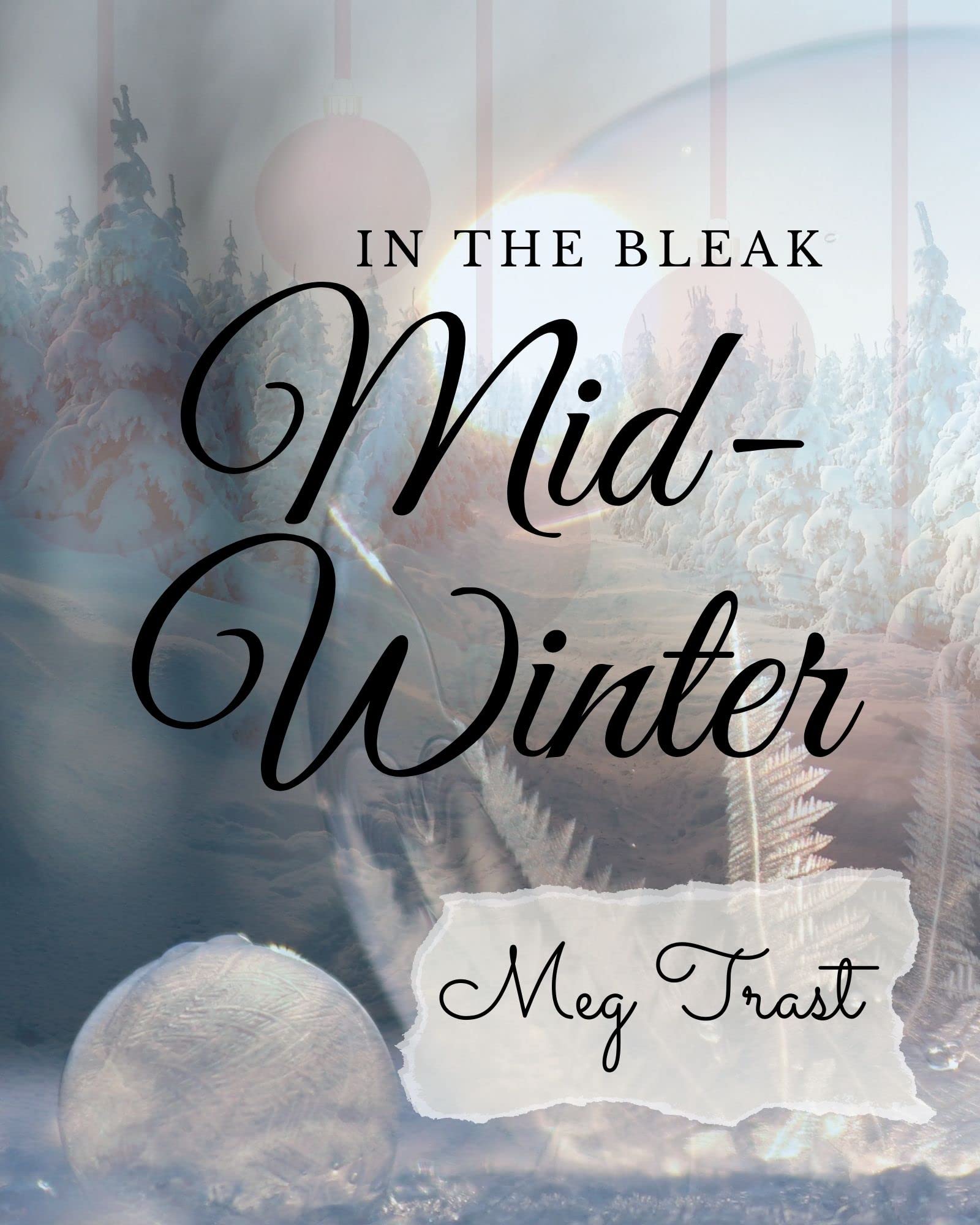 In the Bleak Mid-Winter by Meg Trast | Goodreads