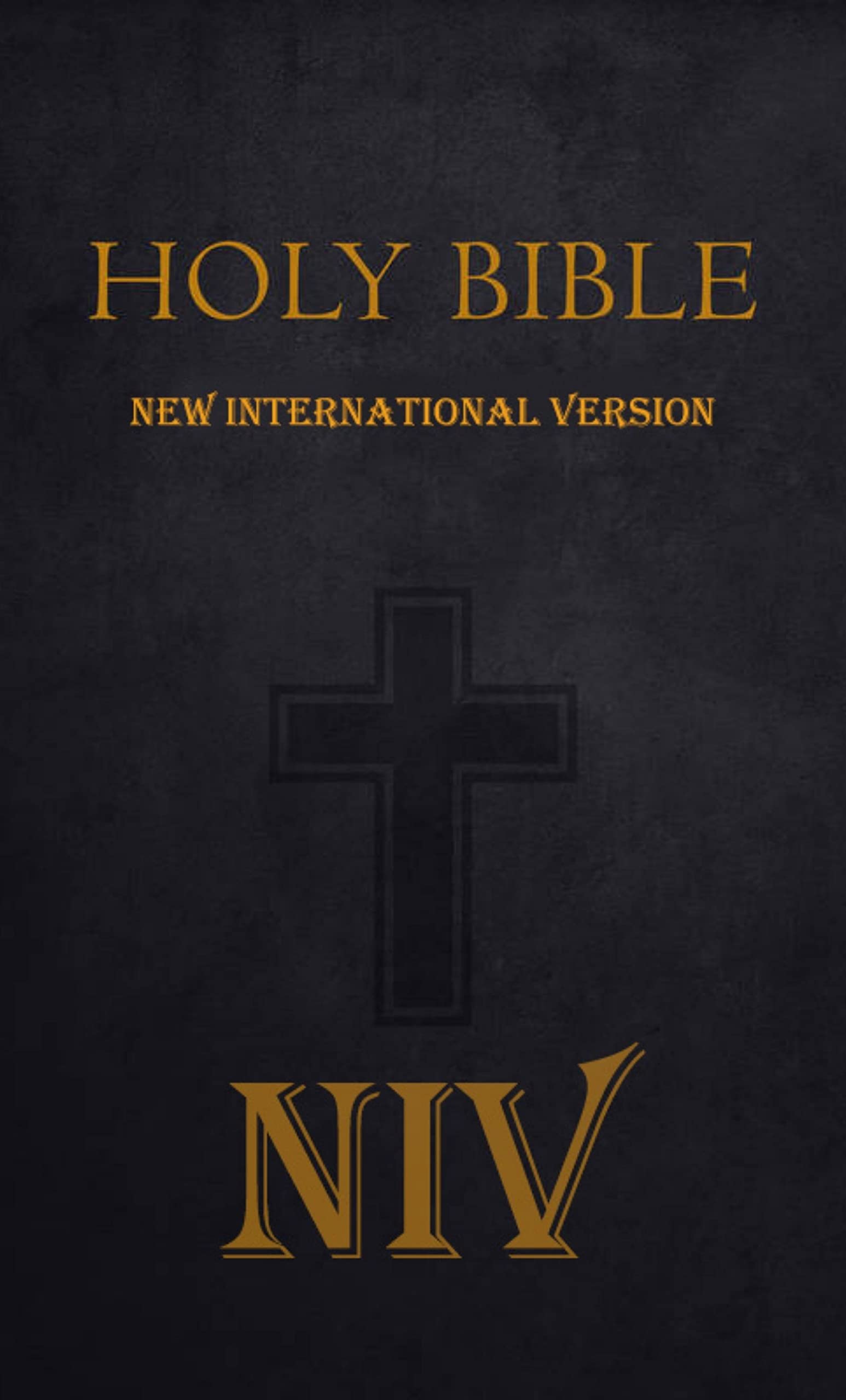 The Holy Bible New International Version : Old and New Testament (NIV ...