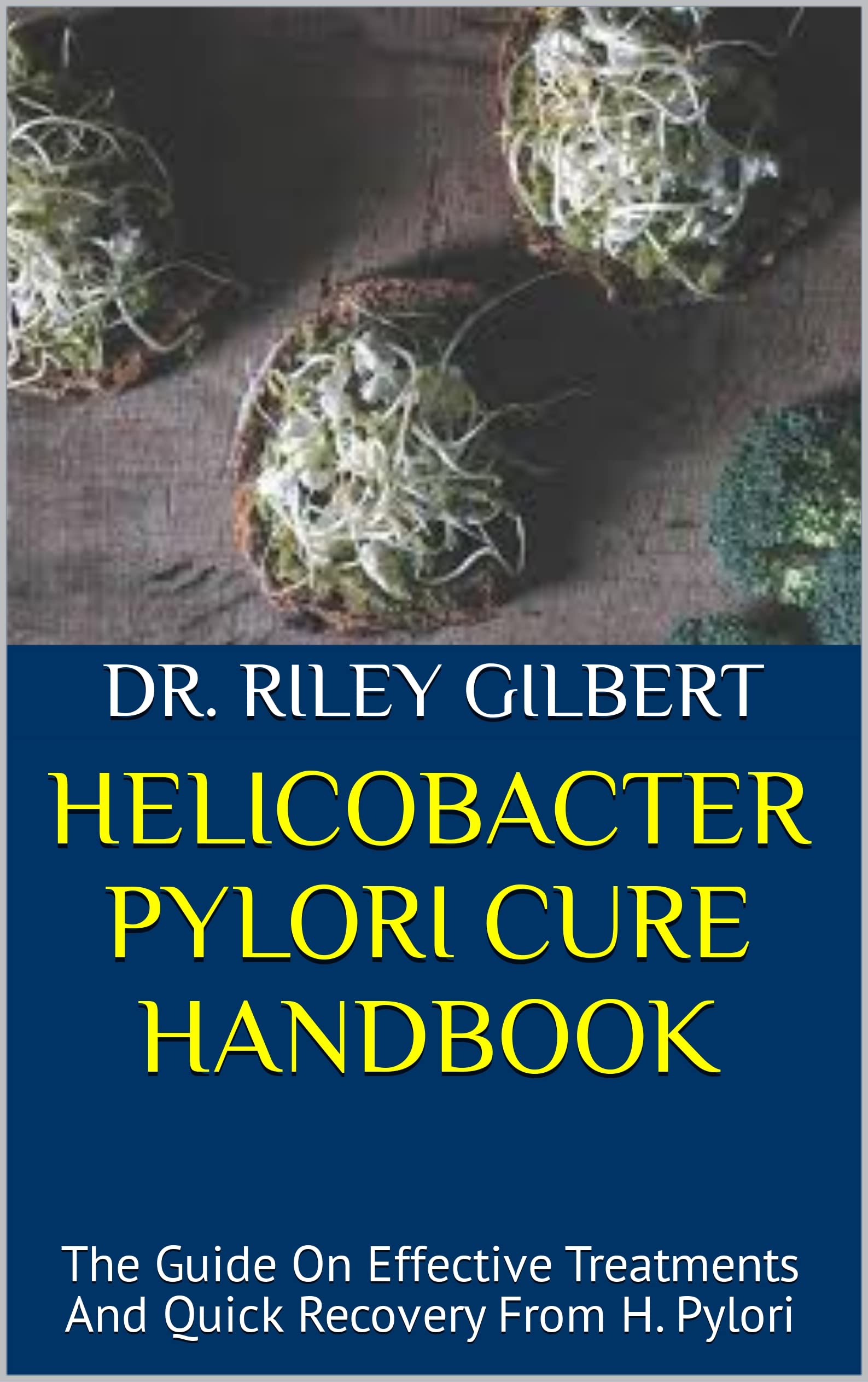 HELICOBACTER PYLORI CURE HANDBOOK : The Guide On Effective Treatments ...