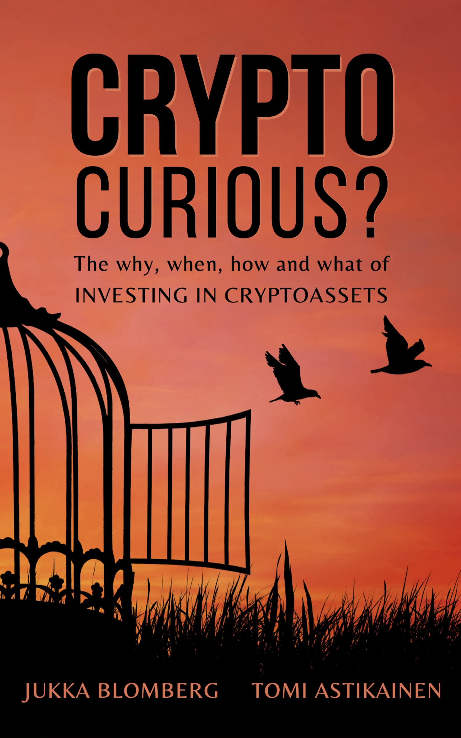Crypto Curious?: The why, when, how and what of investing in ...