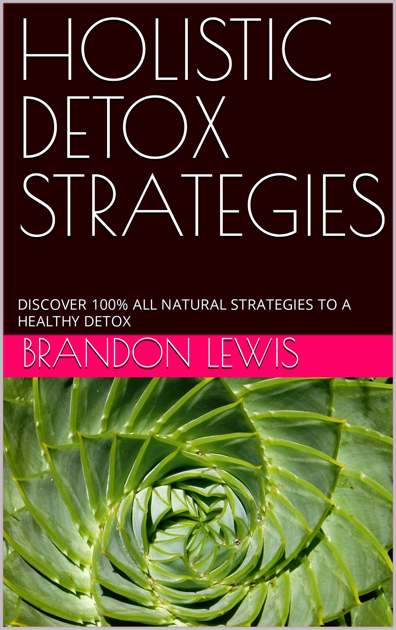 Holistic Detox Strategies: Discover 100% All Natural Strategies to a ...