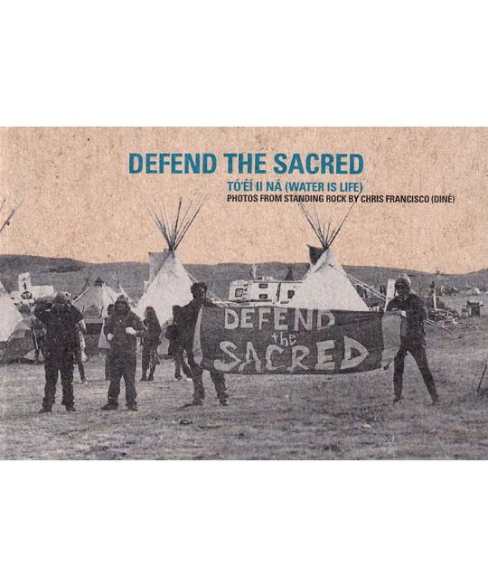 Defend the Sacred: Photos from Standing Rock by Chris Francisco (Diné ...