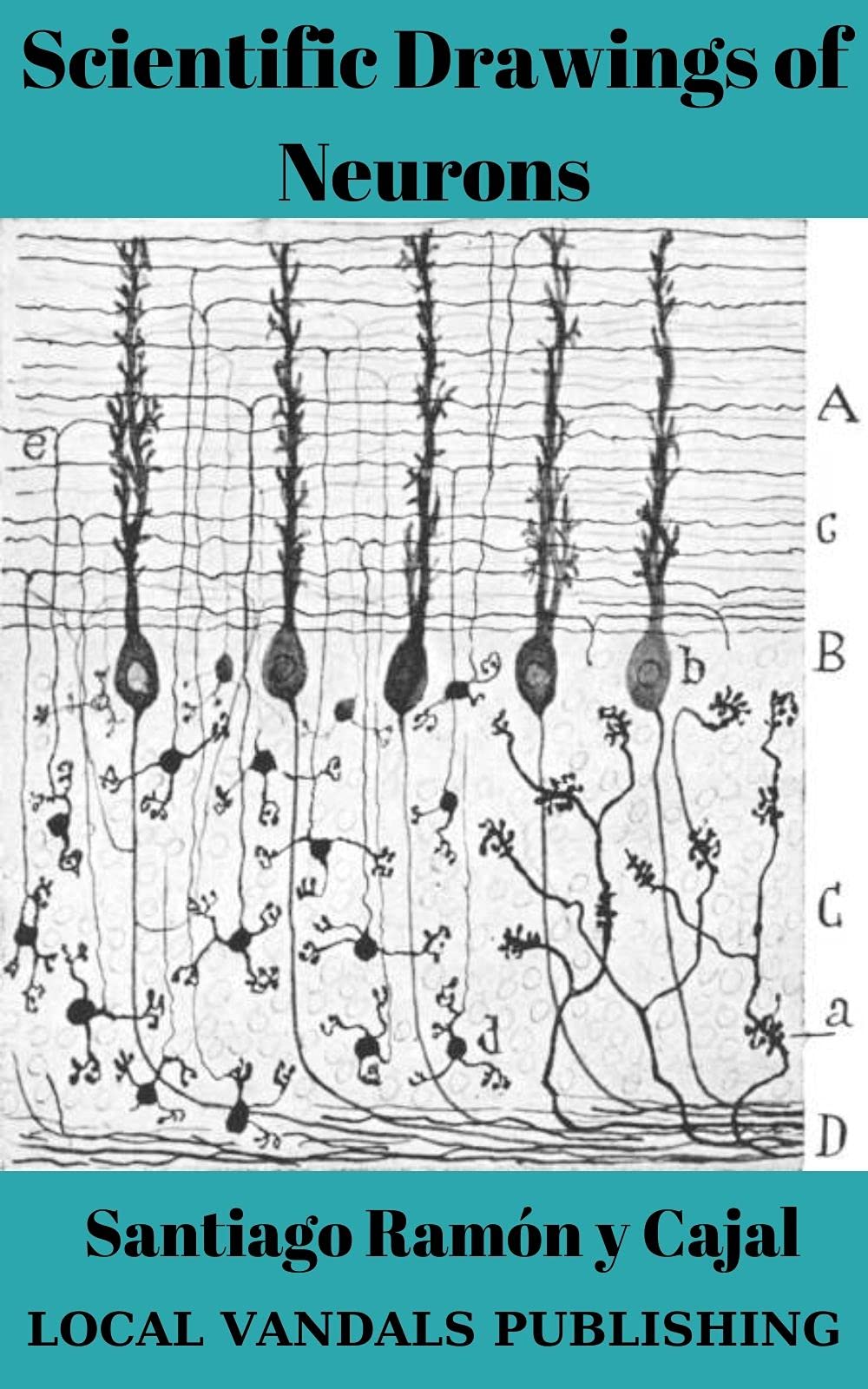 Scientific Drawings of Neurons: Selected Drawings of Nobel Winner ...