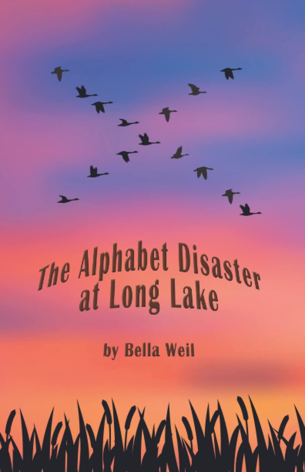 The Alphabet Disaster at Long Lake by Bella Weil | Goodreads