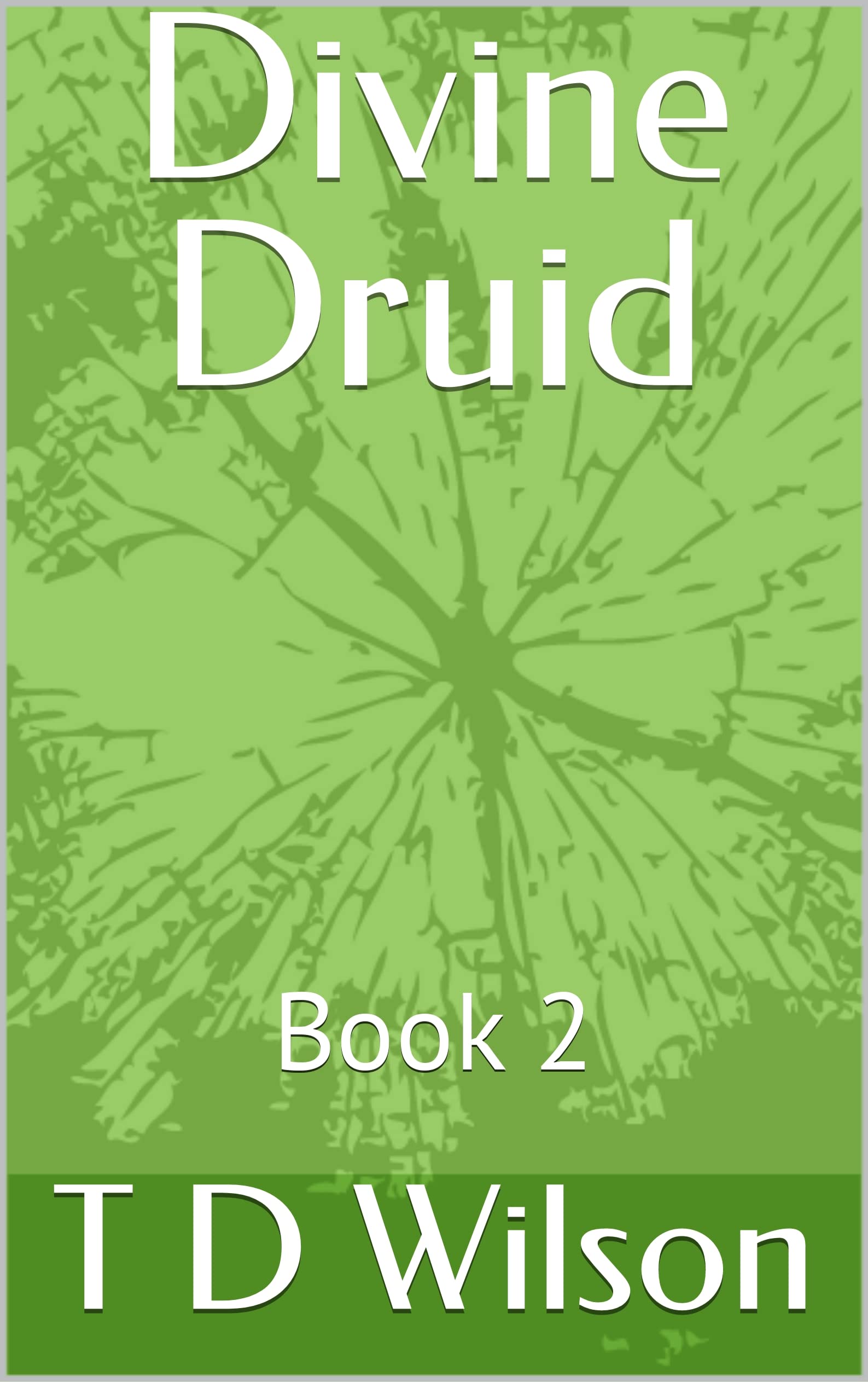 Divine Druid 2 (The Divine Druid #2) by T.D. Wilson | Goodreads