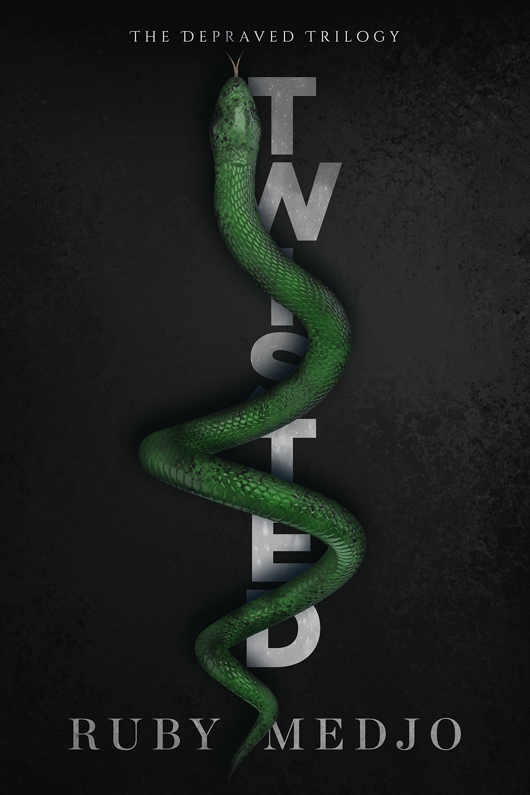 Twisted: The Depraved Trilogy by Ruby Medjo | Goodreads