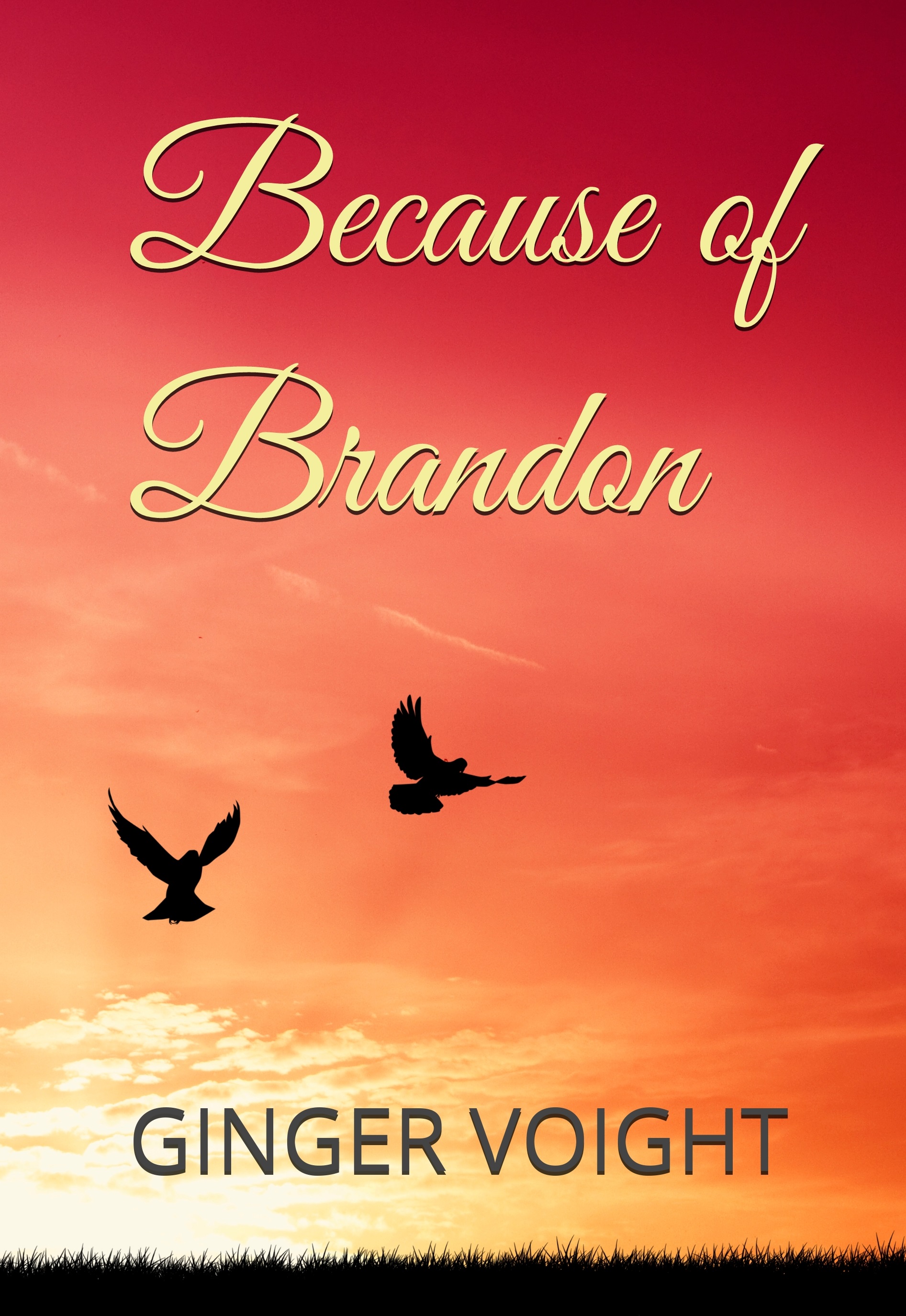 Because of Brandon by Ginger Voight | Goodreads