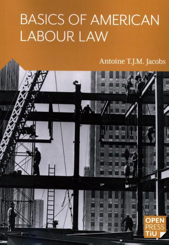 Basics of American Labour Law by Antoine Jacobs | Goodreads