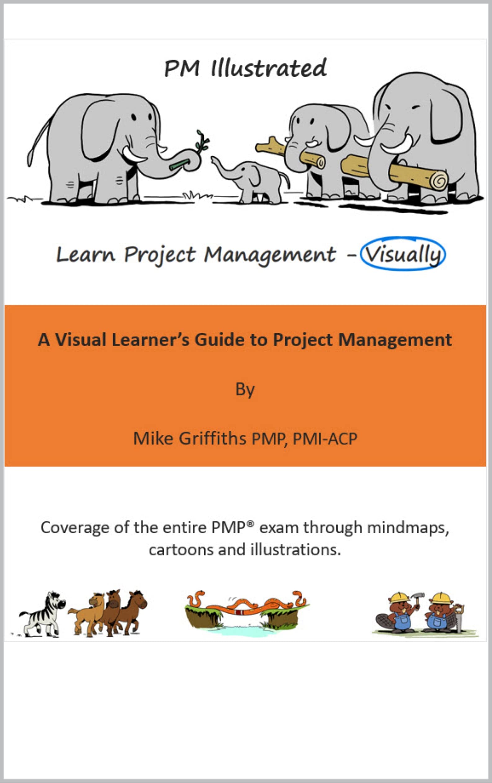 PM Illustrated: A Visual Learner's Guide to Project Management: Kindle ...