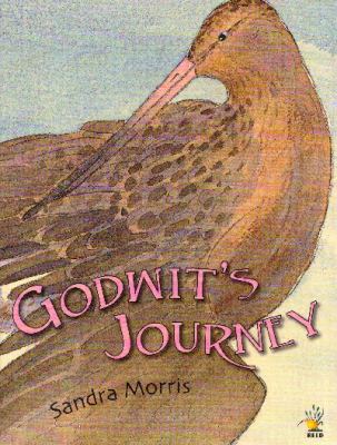 Godwit's journey by Sandra Morris | Goodreads
