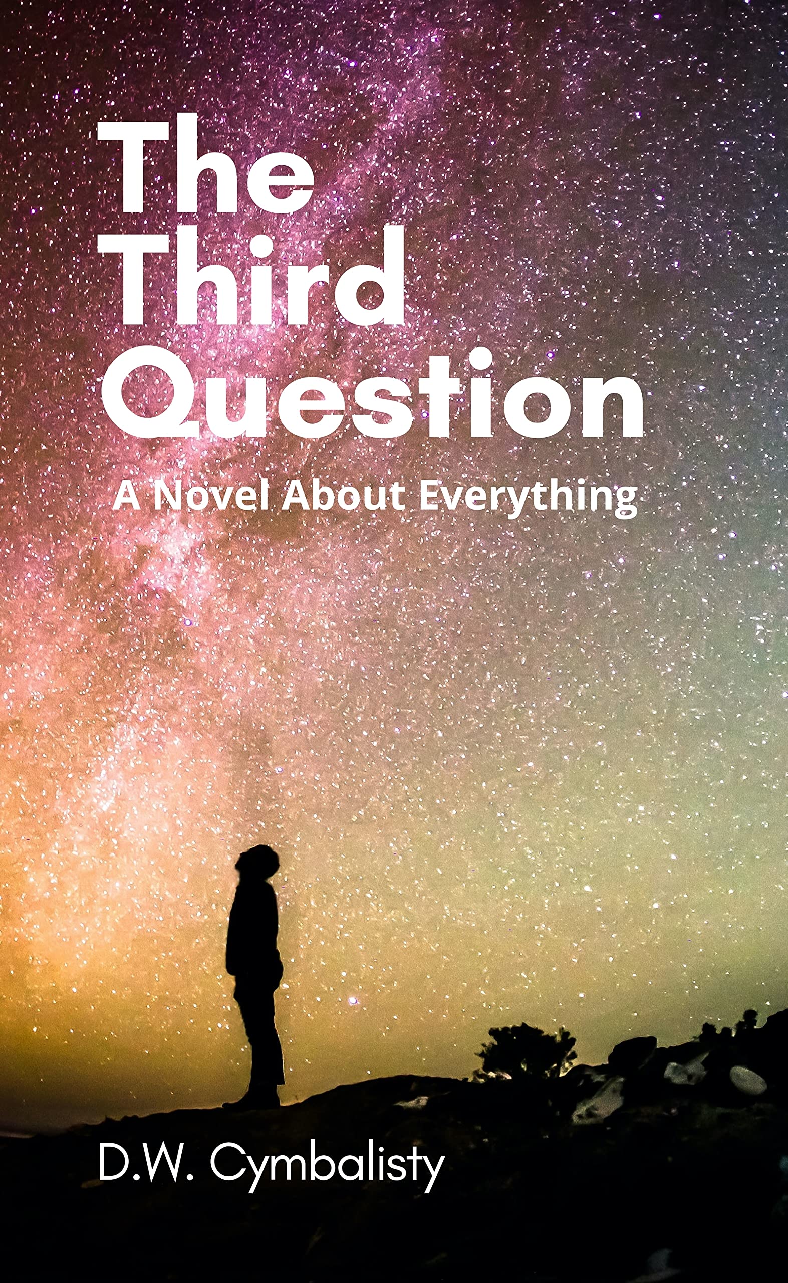 The Third Question: A Novel About Everything by D.W. Cymbalisty | Goodreads