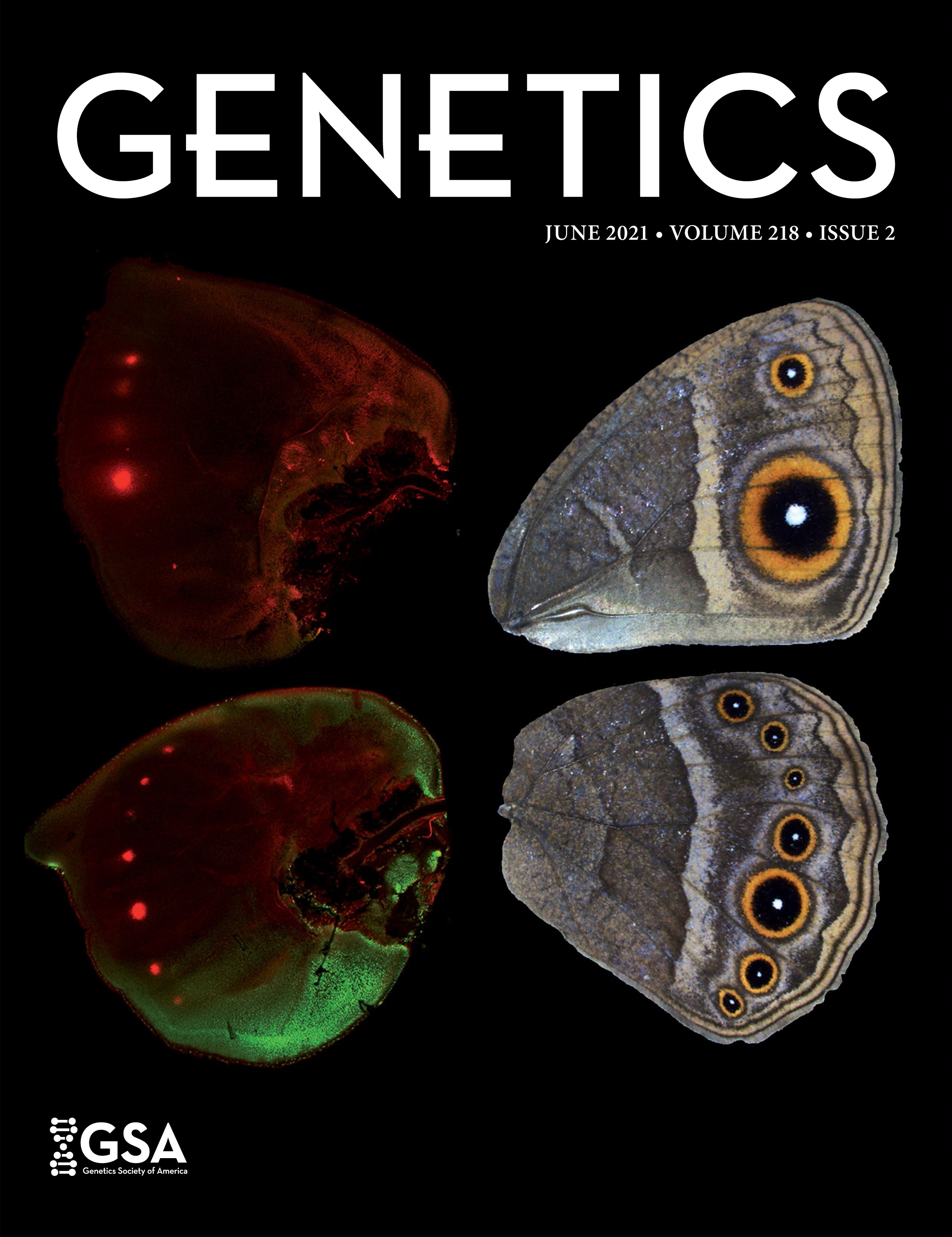 Genetic Similarities Within and Between Human Populations by D. J ...