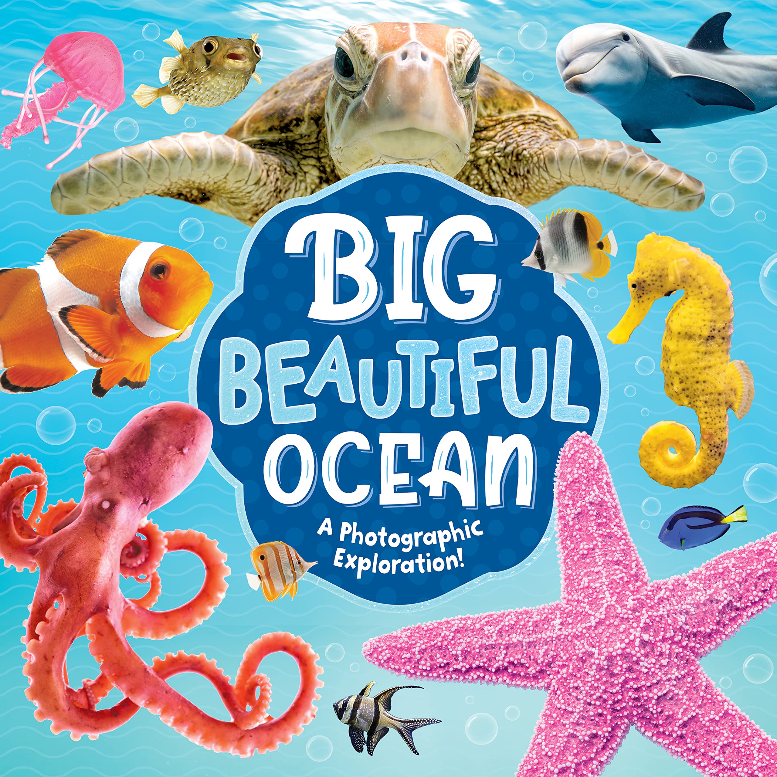 Big Beautiful Ocean – A Photographic Exploration – Perfect for Infants ...