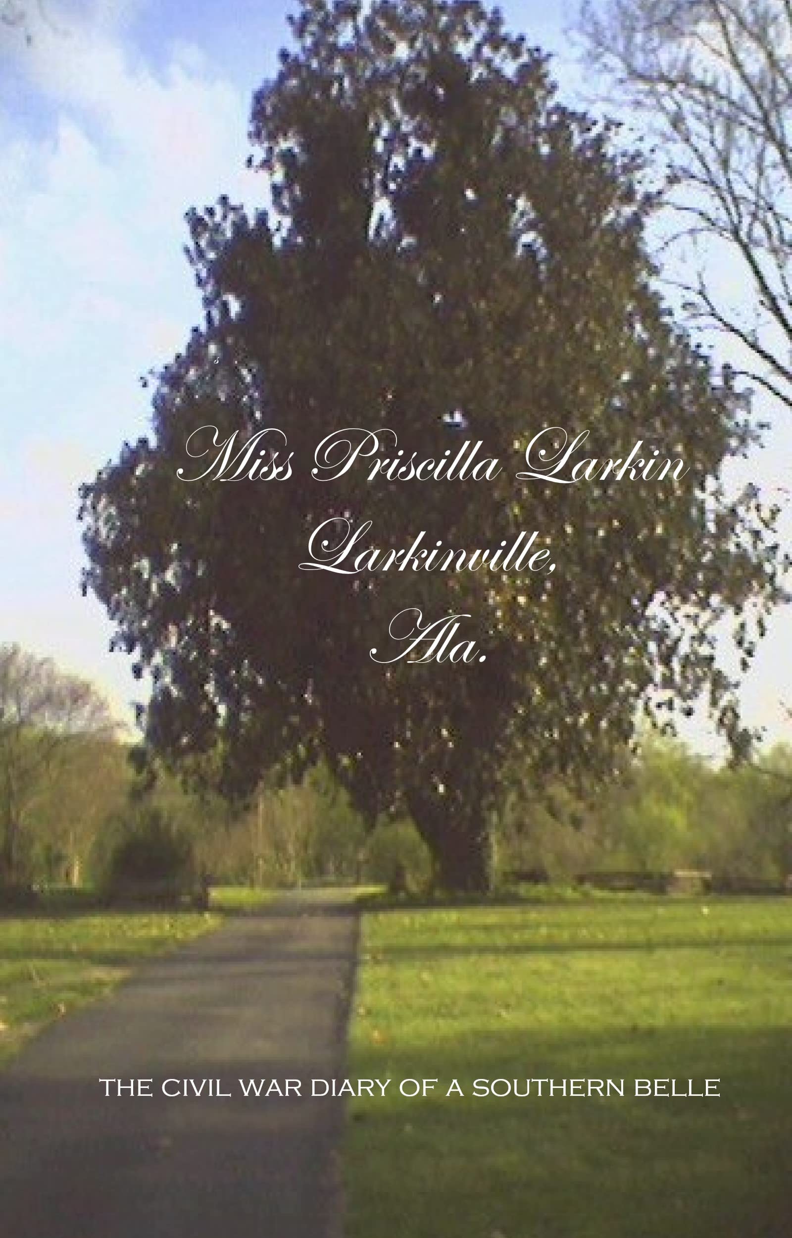 Miss Priscilla Larkin, Larkinville, Ala. : The Civil War Diary of a ...