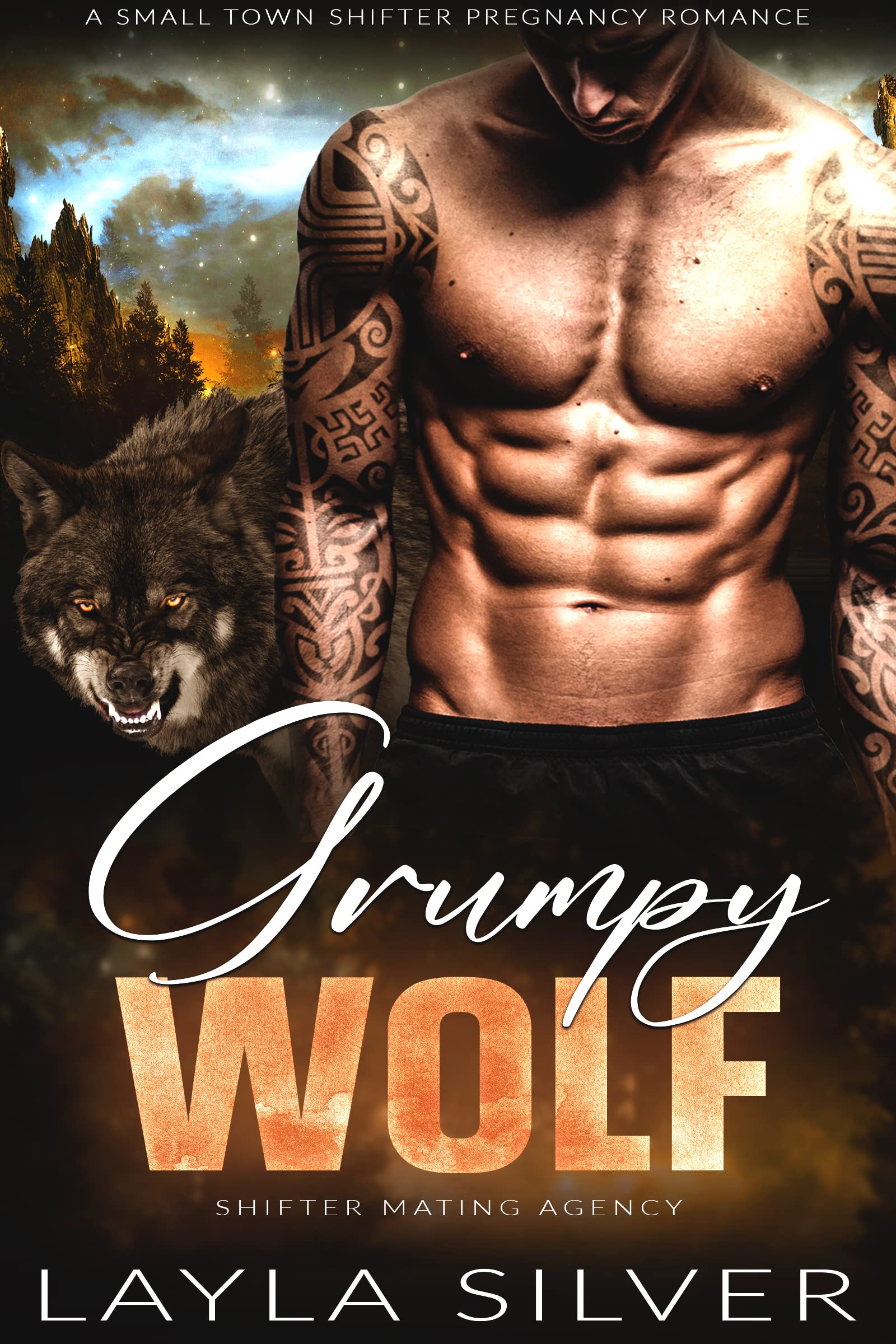 Grumpy Wolf (Shifter Mating Agency, #1) by Layla Silver | Goodreads