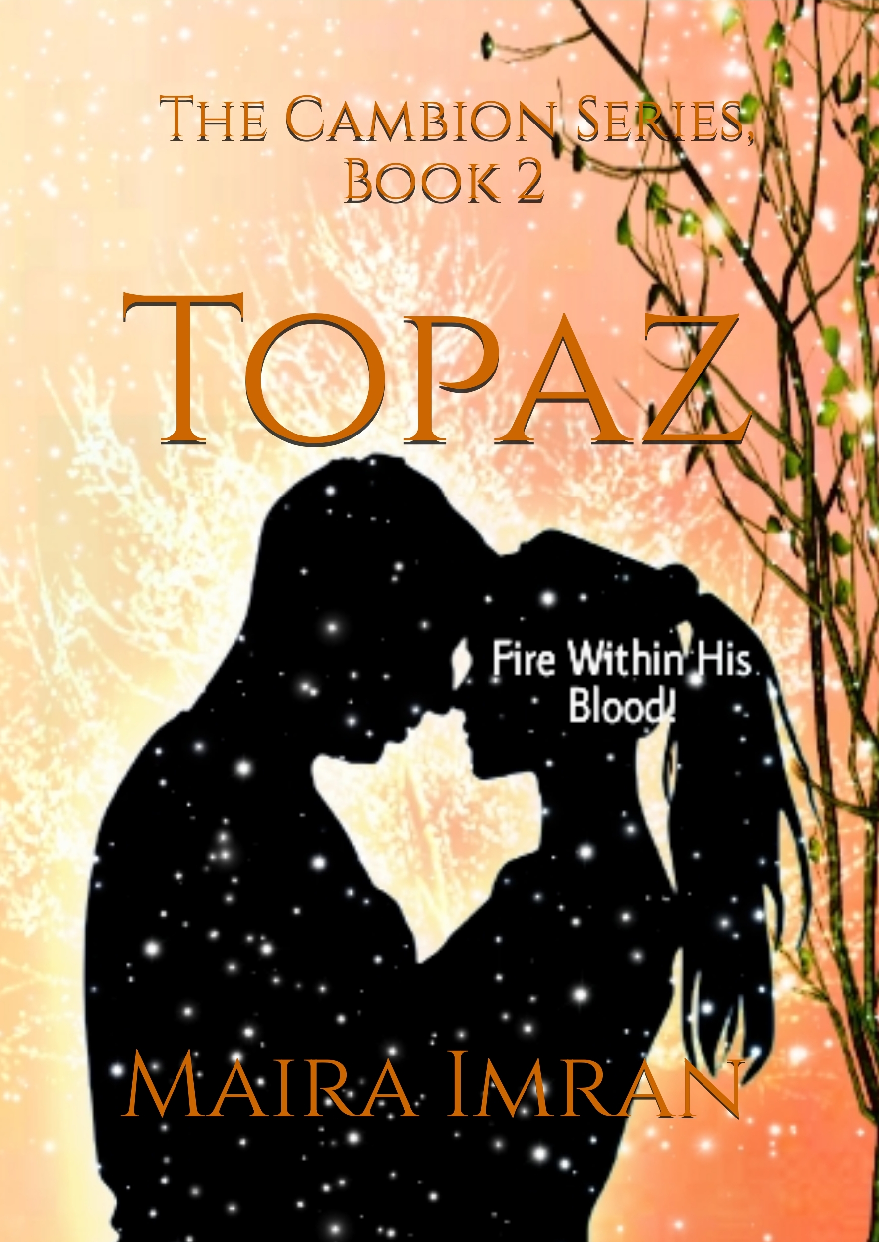 Topaz (The Cambion Series, #2) by Maira Imran | Goodreads