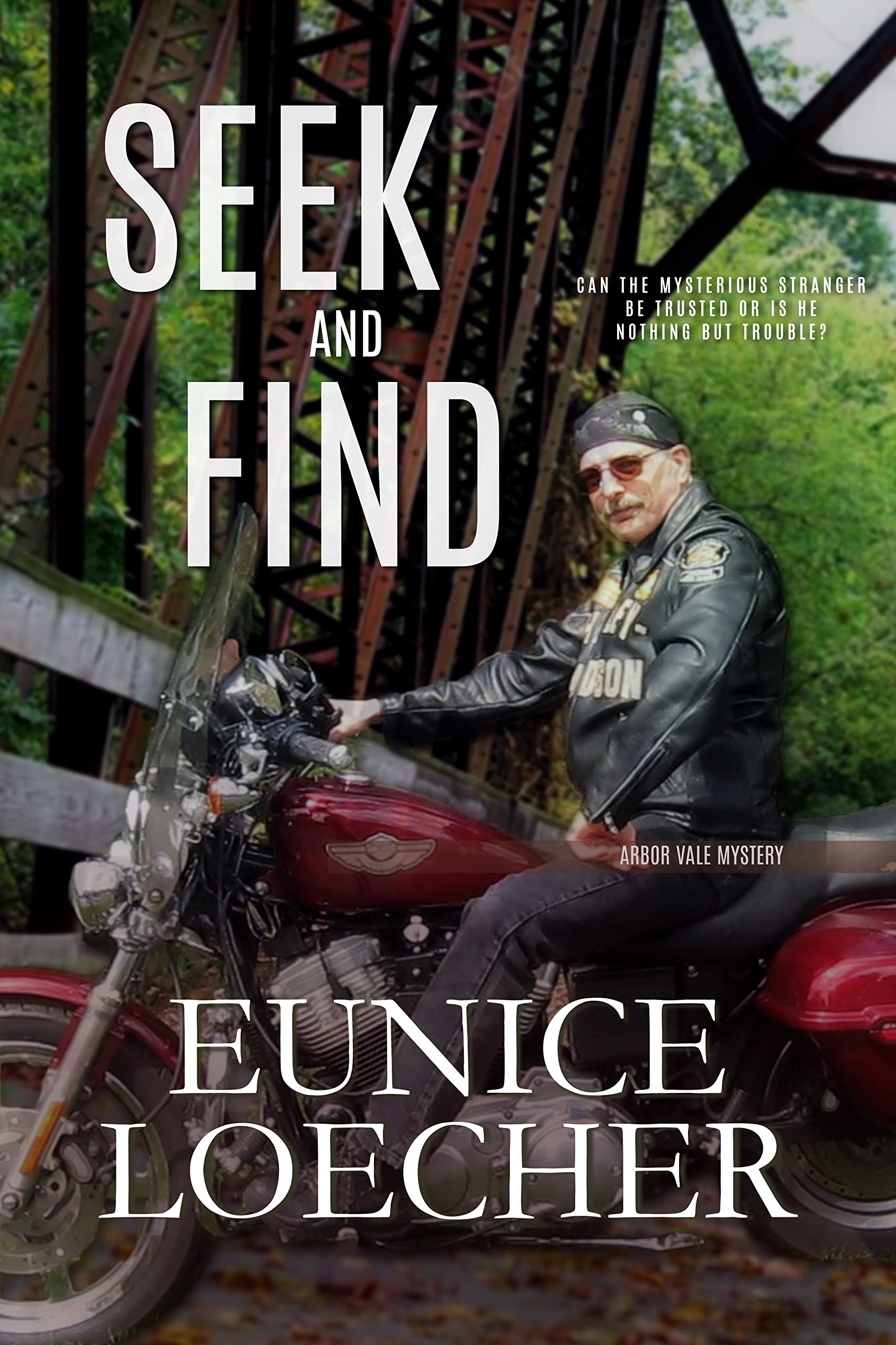 Seek and Find (Arbor Vale Mystery Book 8) by Eunice Loecher | Goodreads