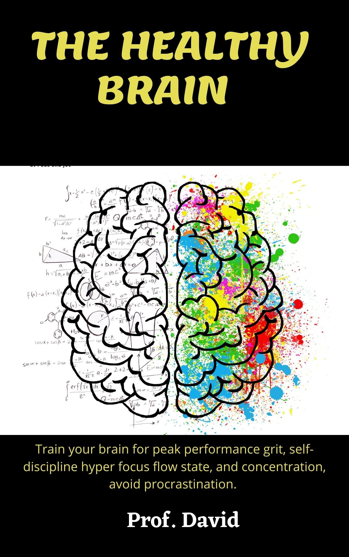 THE HEALTHY BRAIN : Train your brain for peak performance grit, self ...