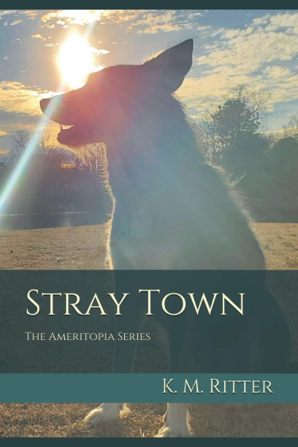 Stray Town (Ameritopia) by K.M. Ritter | Goodreads