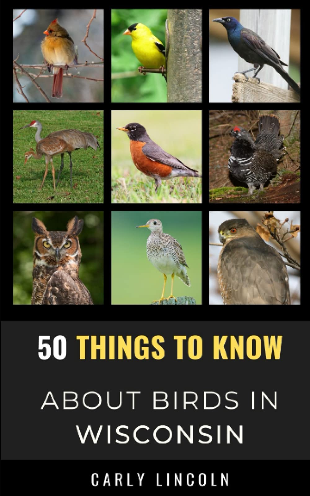 50 Things to Know About Birds in Wisconsin: Birding in the Badger State ...