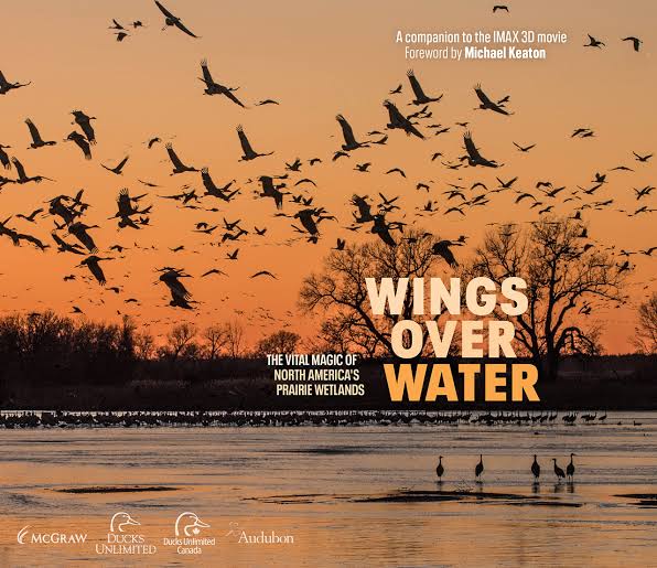Wings Over Water: The Vital Magic of North America’s Prairie Wetlands ...