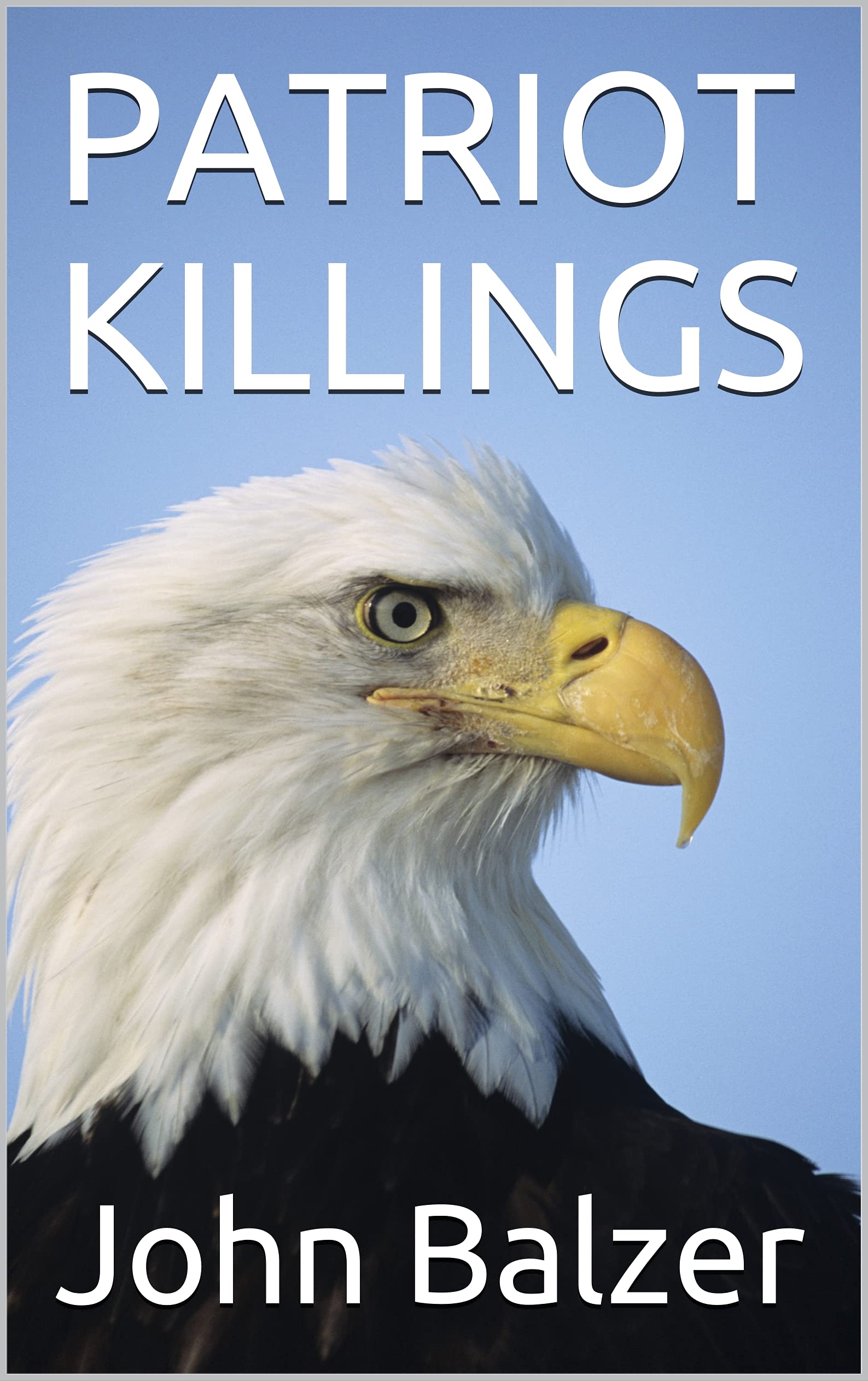 PATRIOT KILLINGS by John Balzer | Goodreads