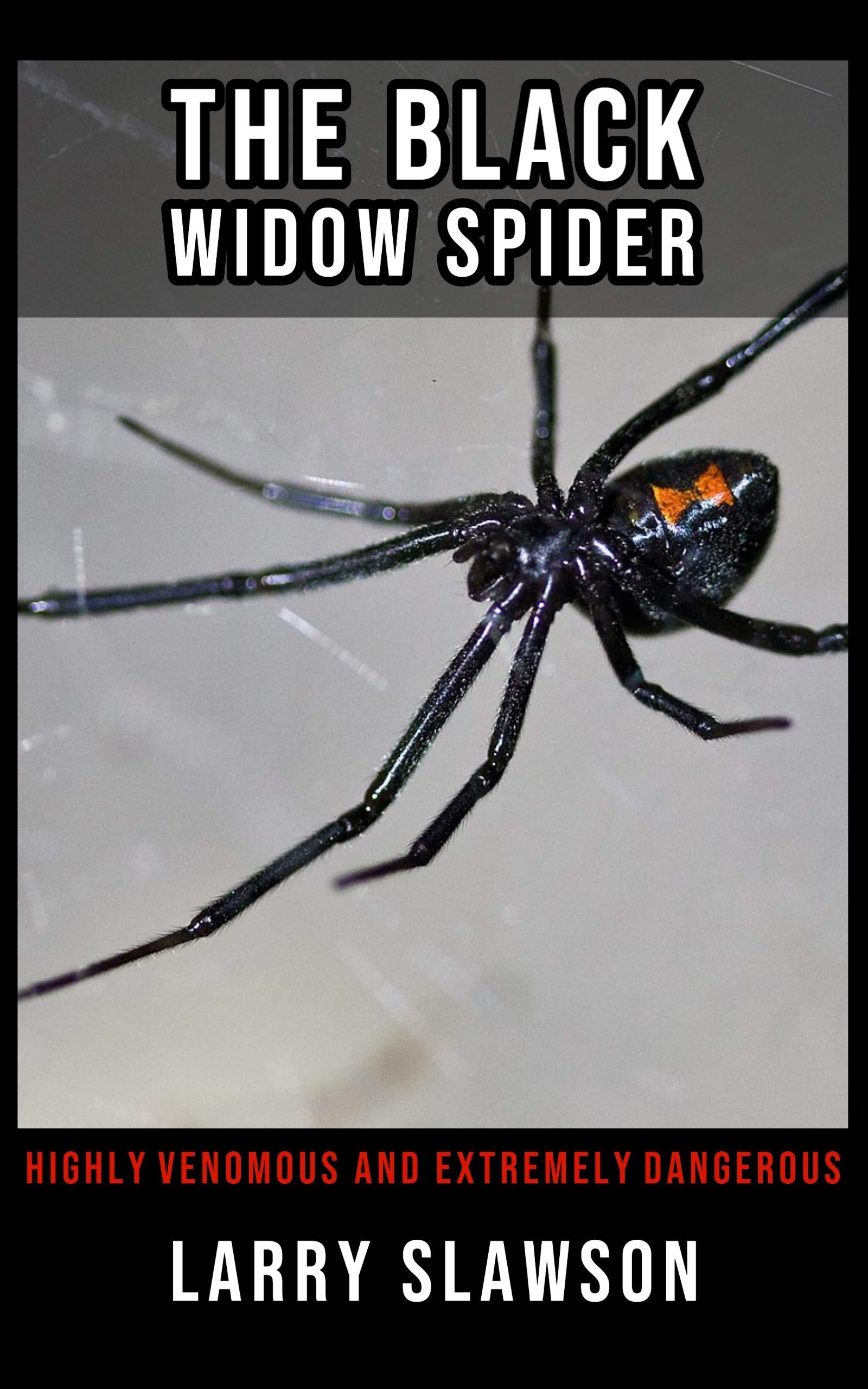 The Black Widow Spider: Highly Venomous and Extremely Dangerous by ...