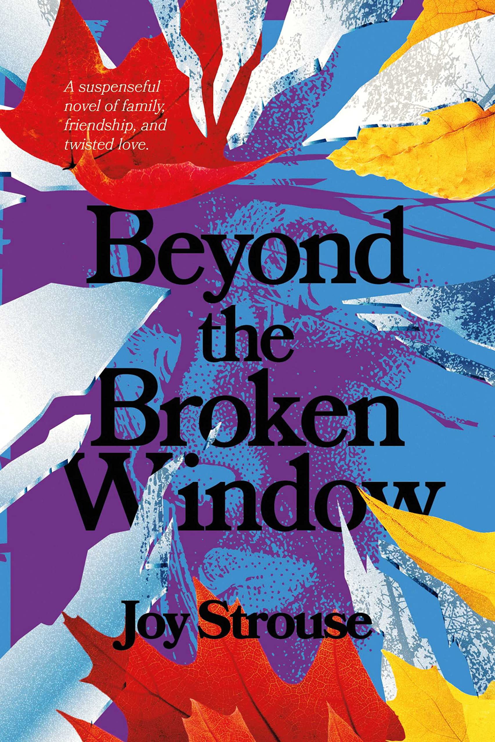 Beyond the Broken Window by Joy Strouse | Goodreads
