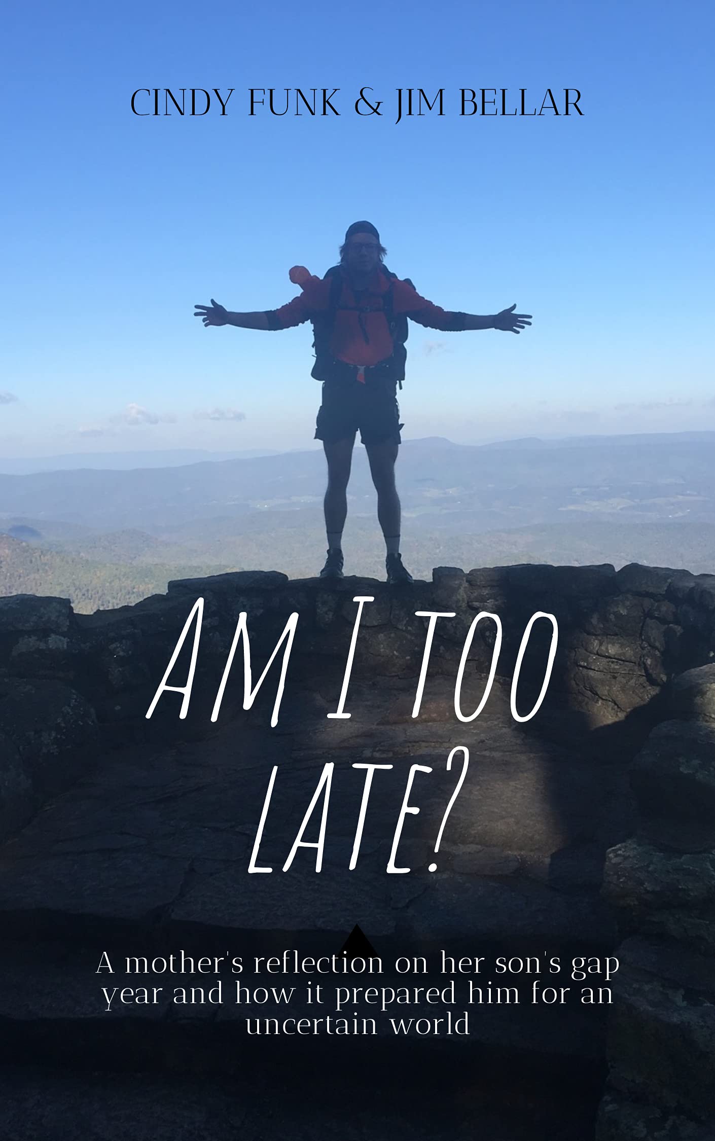 Am I Too Late?: A mother’s reflection on her son’s gap year and how it ...