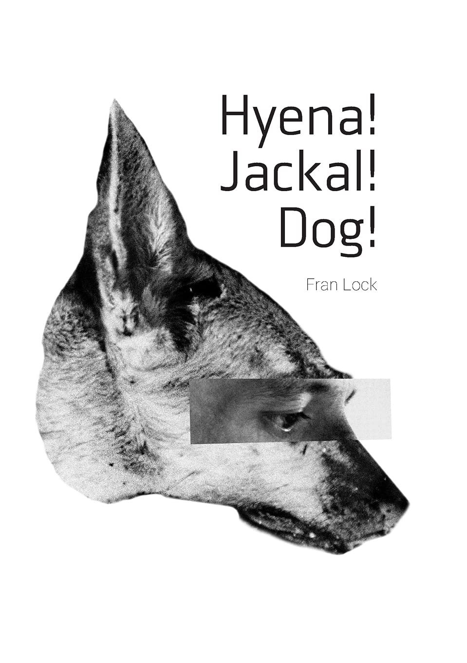 Black Jackal Dog