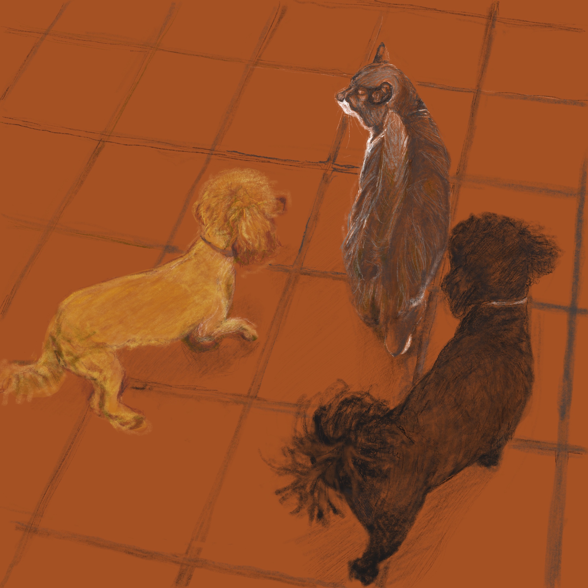 Paws for Reflection by David Beeson | Goodreads