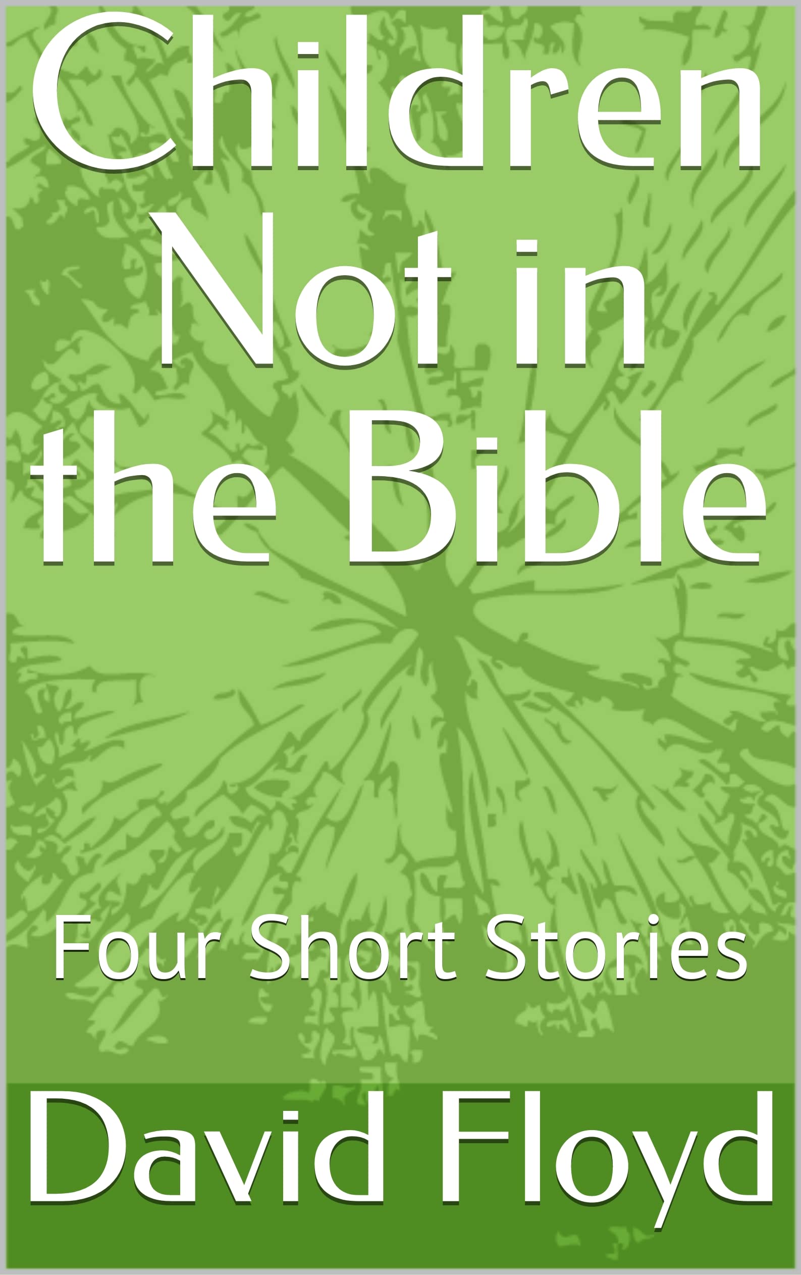 Children Not In The Bible Four Short Stories By David Floyd Goodreads children-not-in-the-bible-four-short-stories-by-david-floyd-goodreads