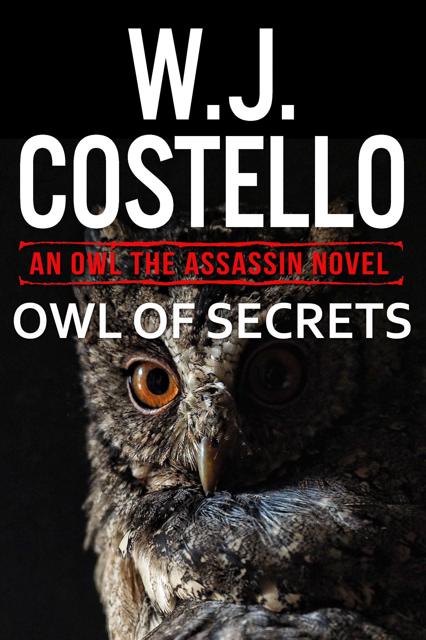 Owl of Secrets (Owl the Assassin, #3) by W.J. Costello | Goodreads