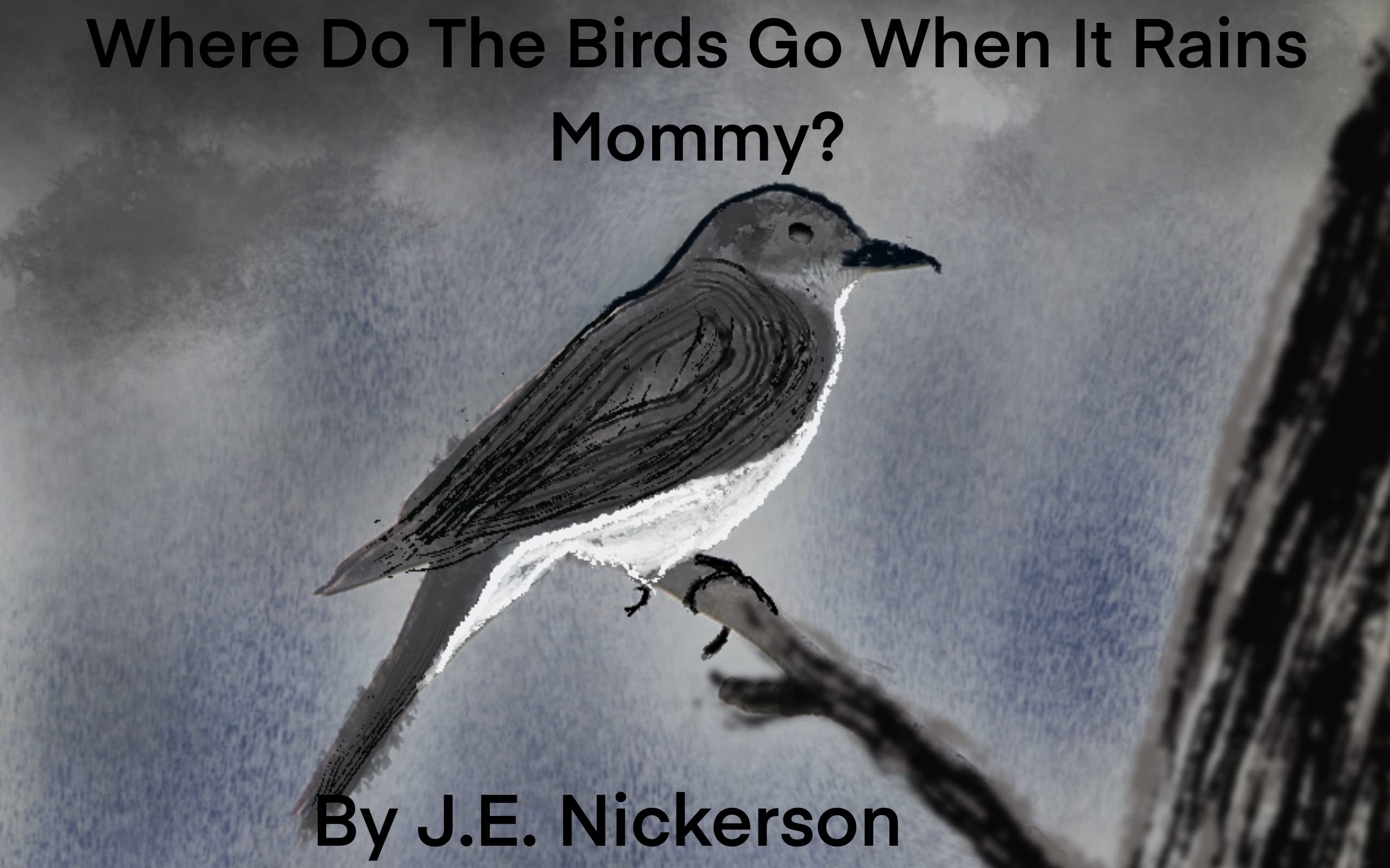 Where Do The Birds Go When It Rains Mommy? by J.E. Nickerson | Goodreads