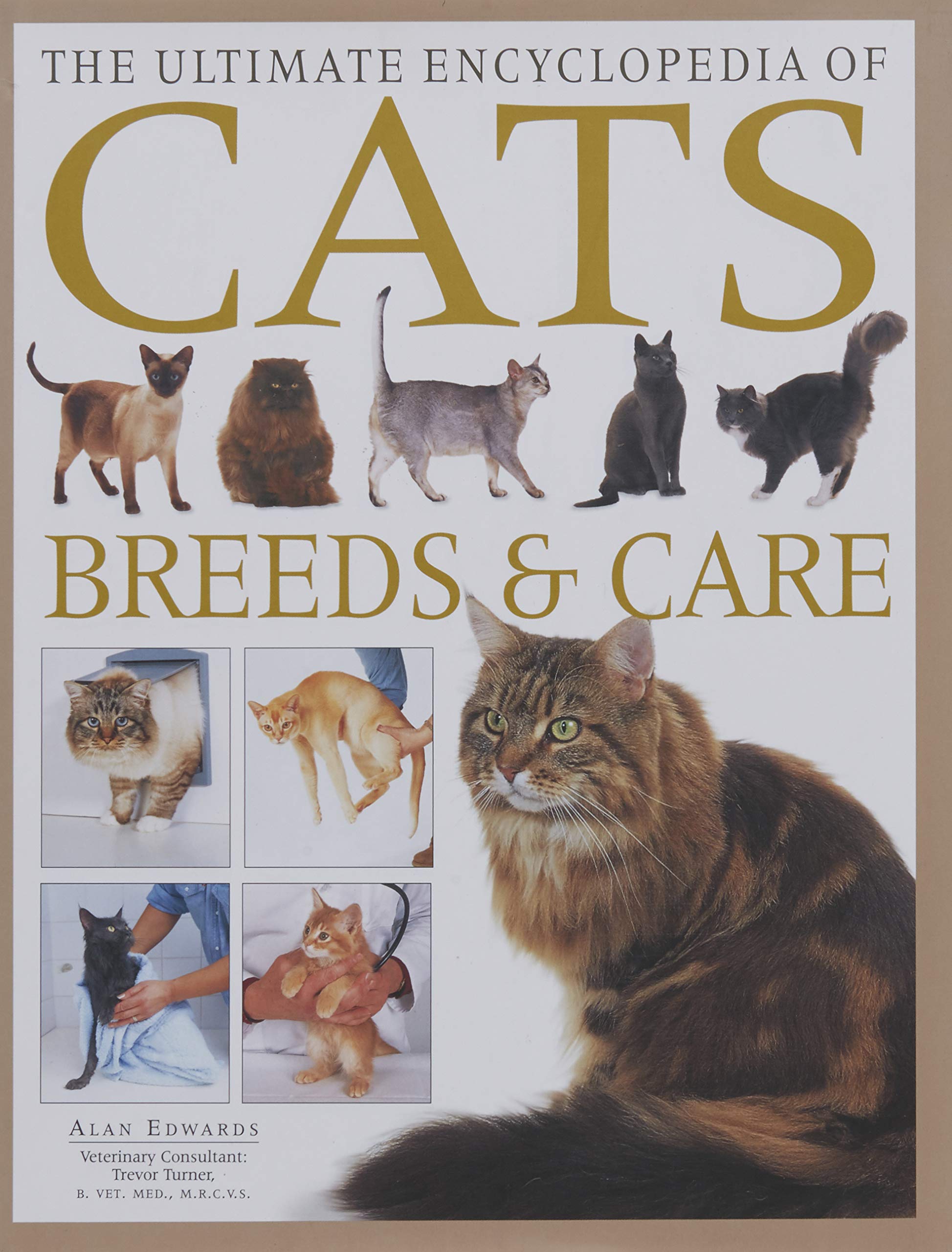The Ultimate Encyclopedia of Cats: Breeds & Care by Alan Edwards ...
