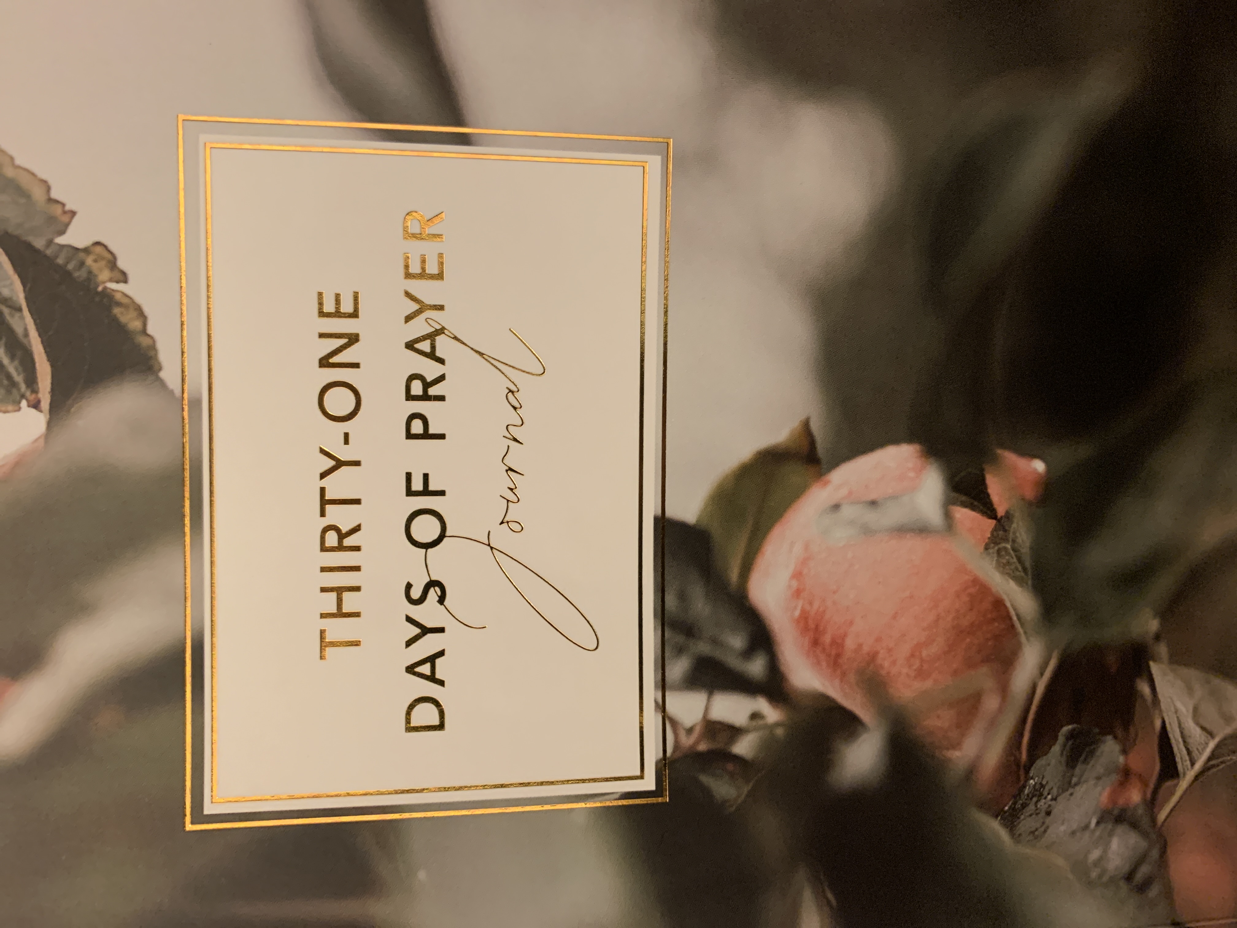 Thirty-One Days of Prayer Journal by Stefanie Boyles | Goodreads
