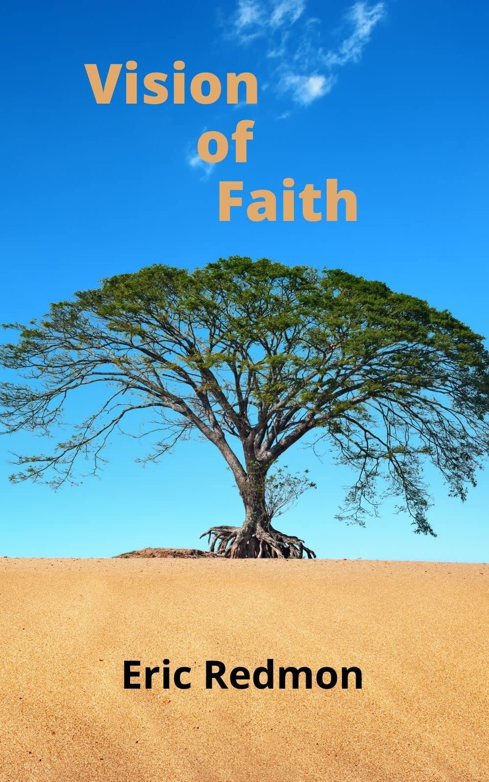 Vision of Faith: Lessons Learned From A Full Life by Eric Redmon ...