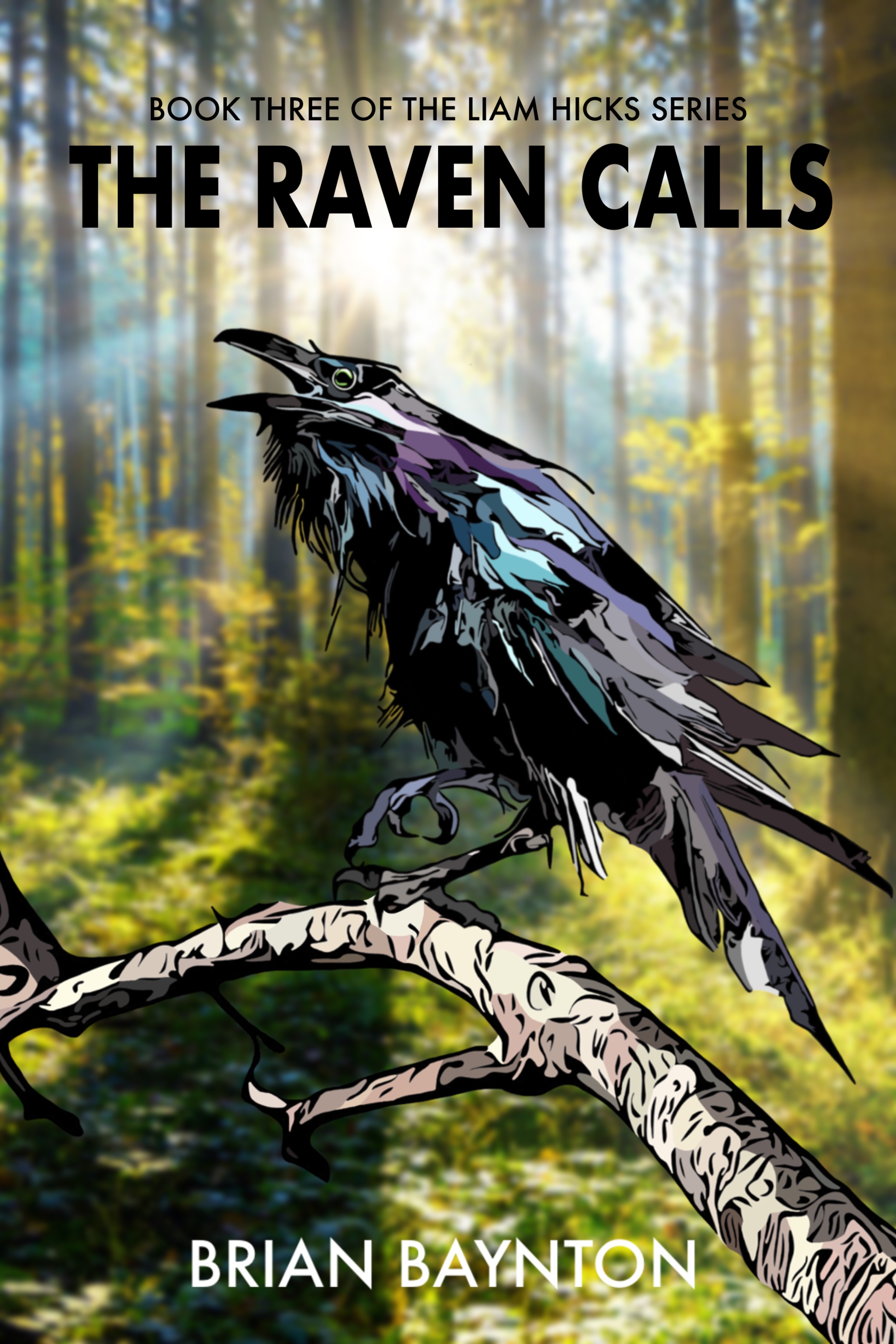 The Raven Calls by Brian Baynton | Goodreads