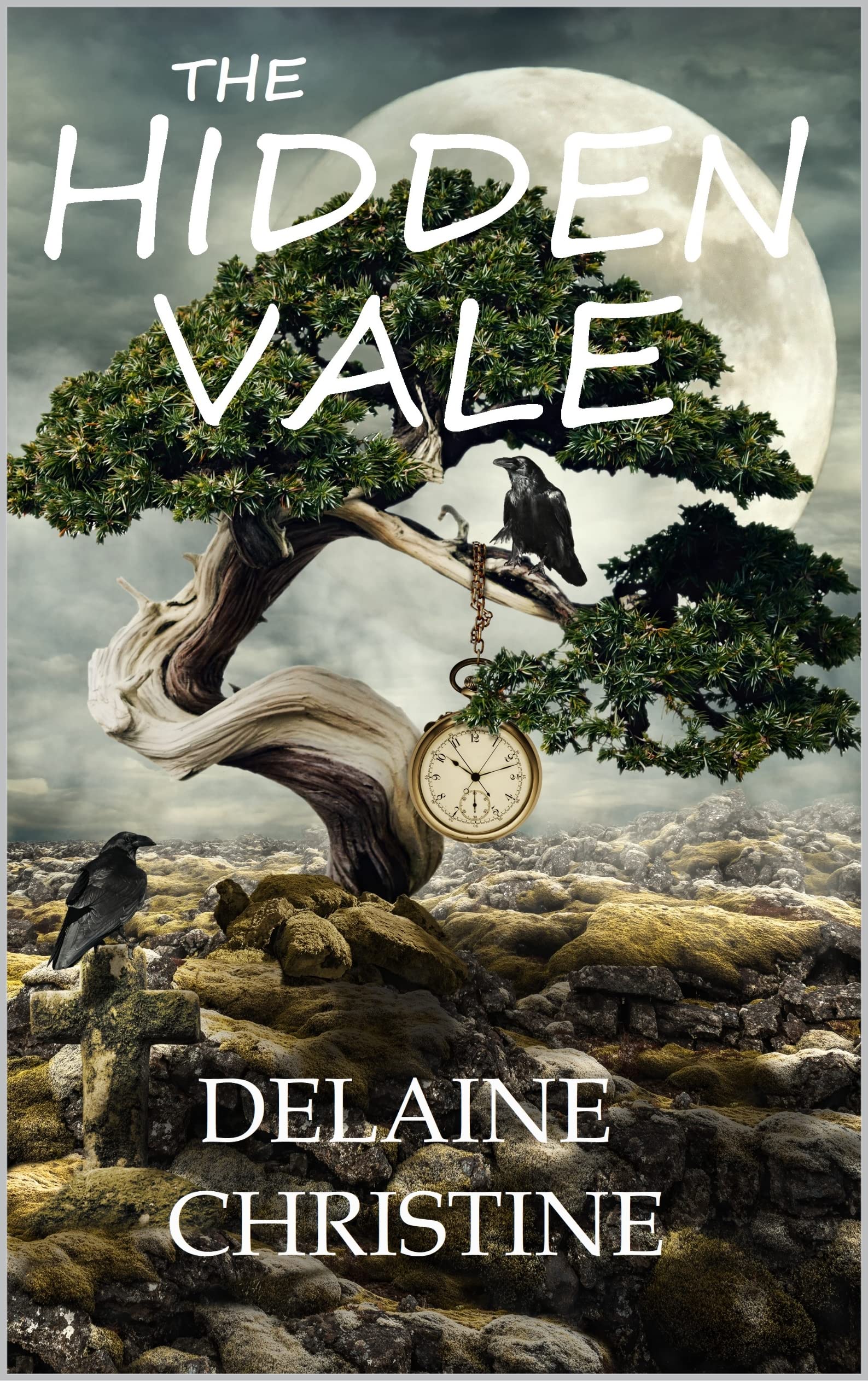 The Hidden Vale by Delaine Christine | Goodreads