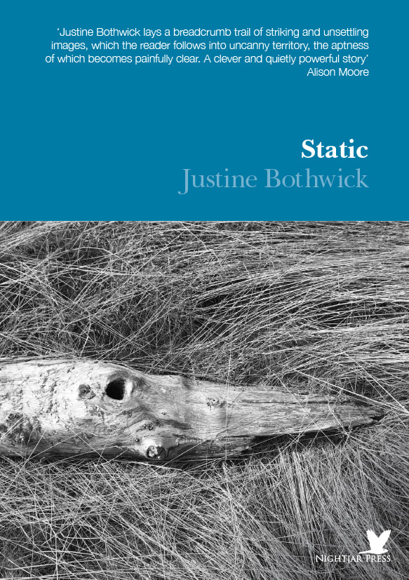 Static by Justine Bothwick | Goodreads