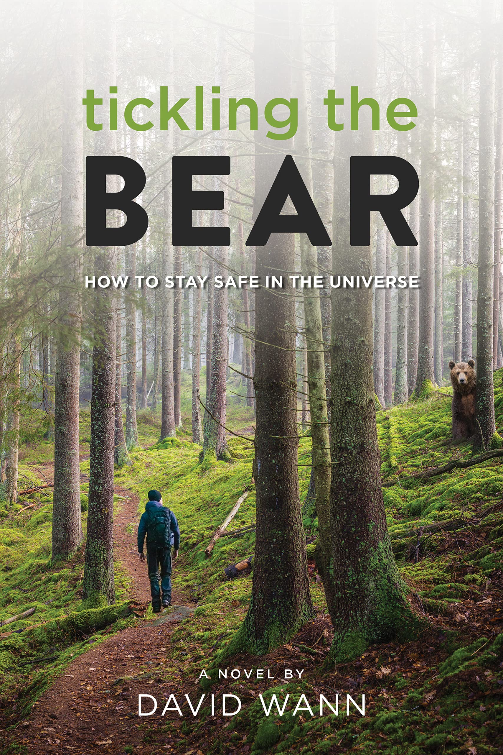 Tickling the Bear: How to Stay Safe in the Universe by David Wann ...