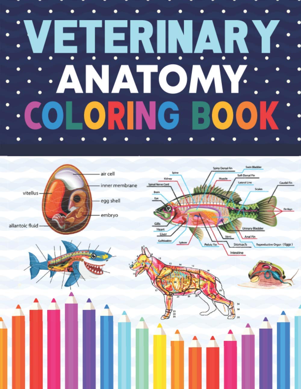 Veterinary Anatomy Coloring Book: Animal Anatomy and Veterinary ...