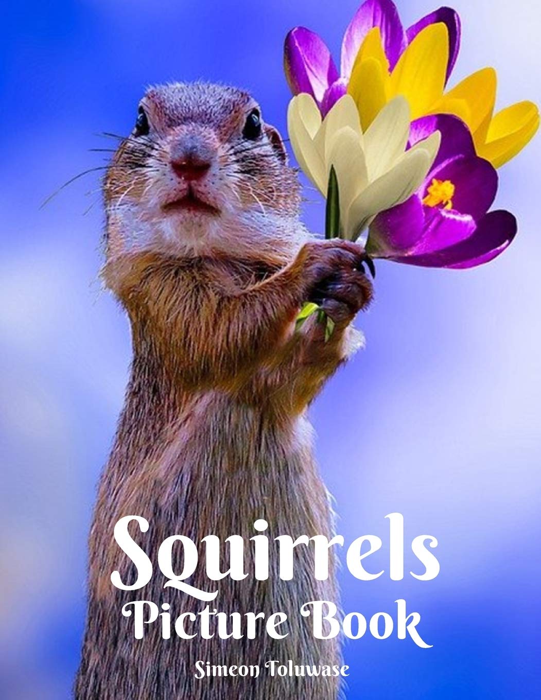 Squirrels Picture Book: A Gift Book for Alzheimer's Patients and ...