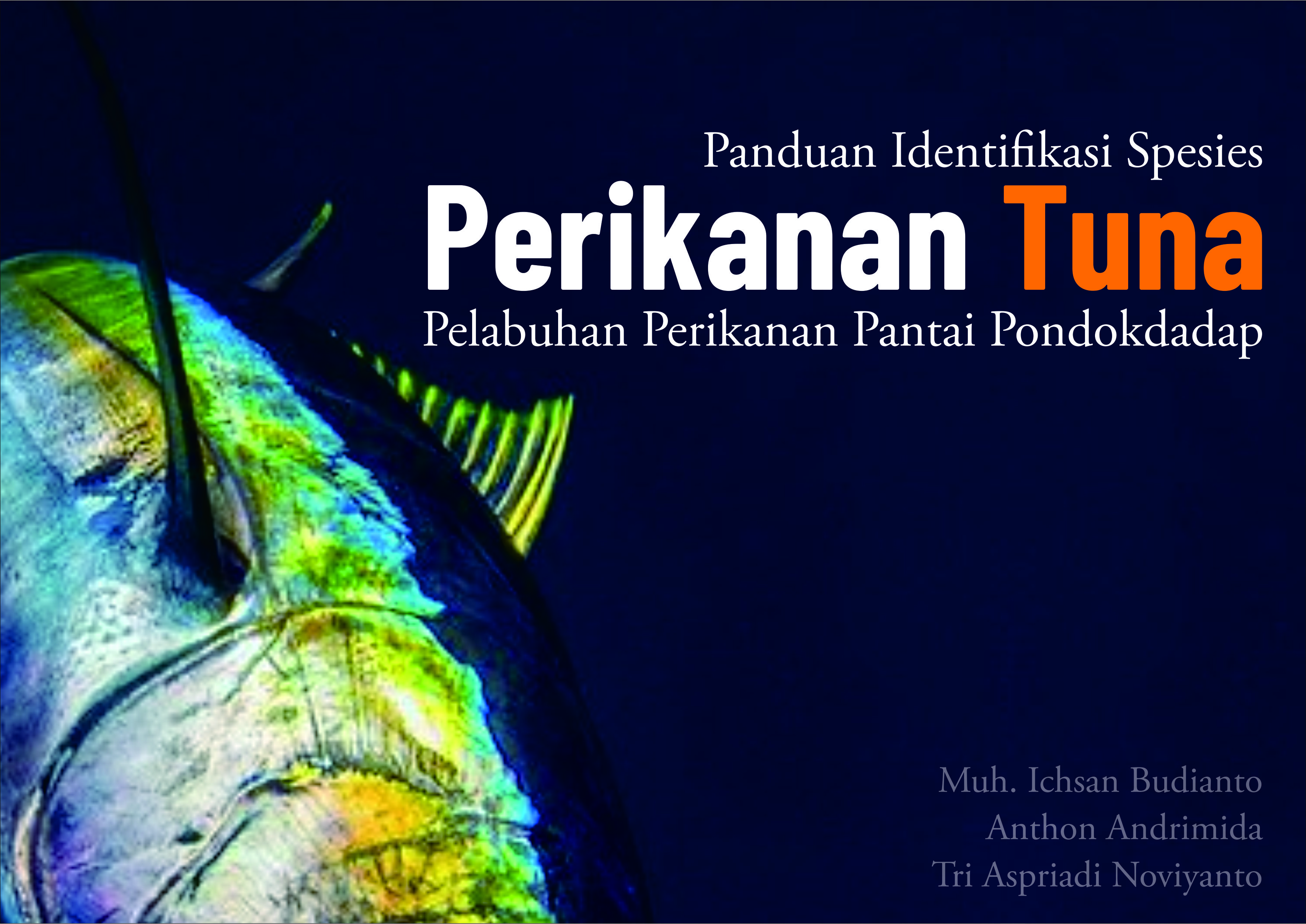 Panduan Identifikasi Spesies Perikanan Tuna Pelabuhan Perikanan ...