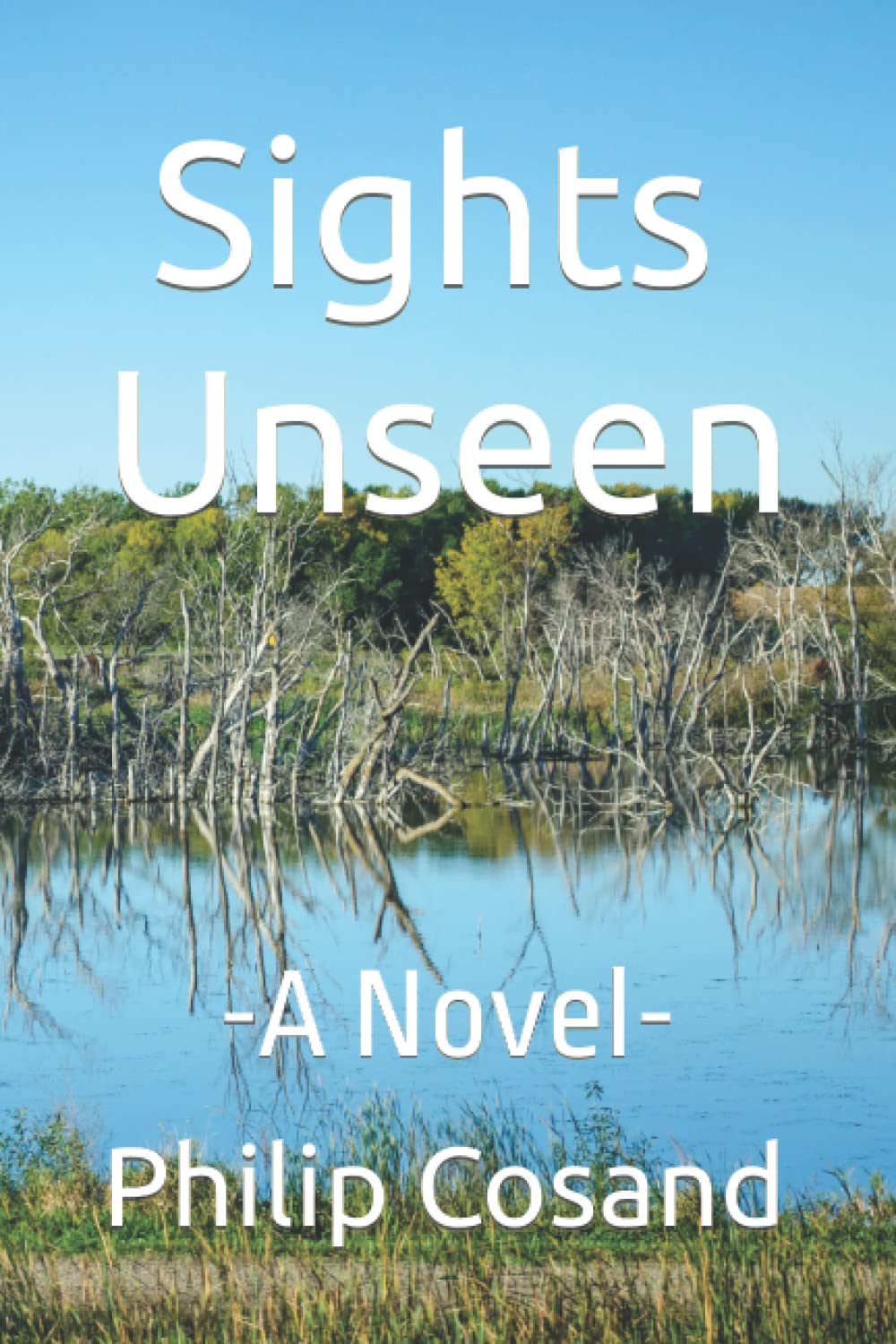 Sights Unseen: A Novel by Philip Cosand | Goodreads