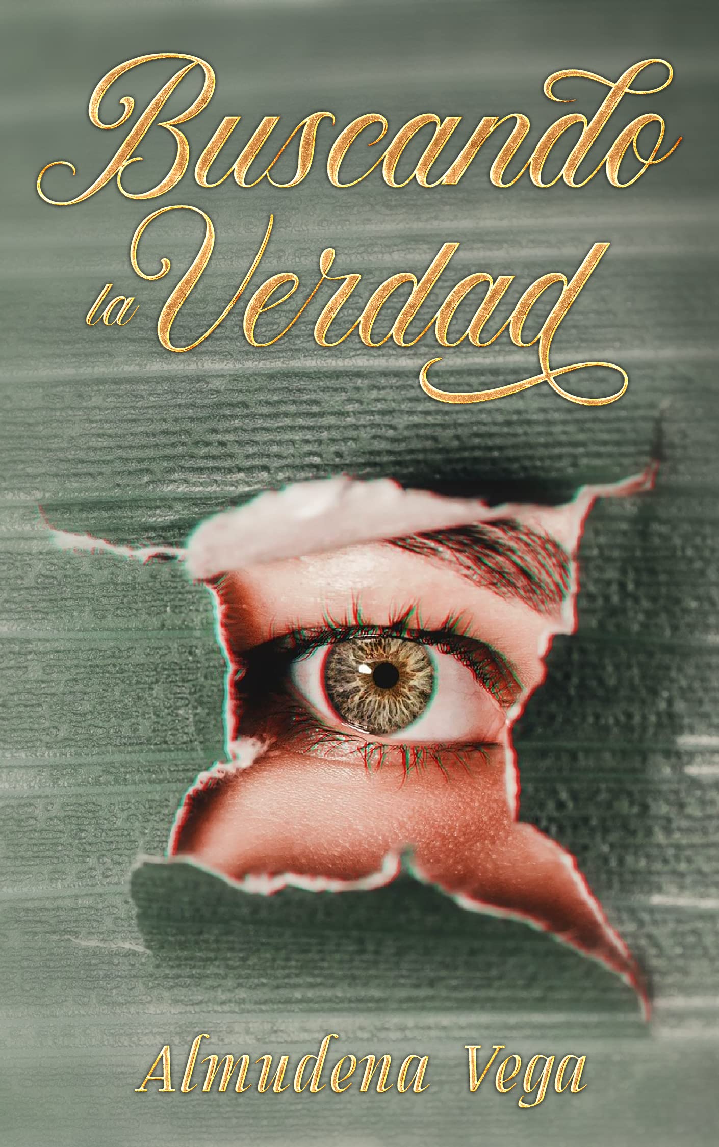 Buscando la verdad (Spanish Edition) by Almudena Vega | Goodreads