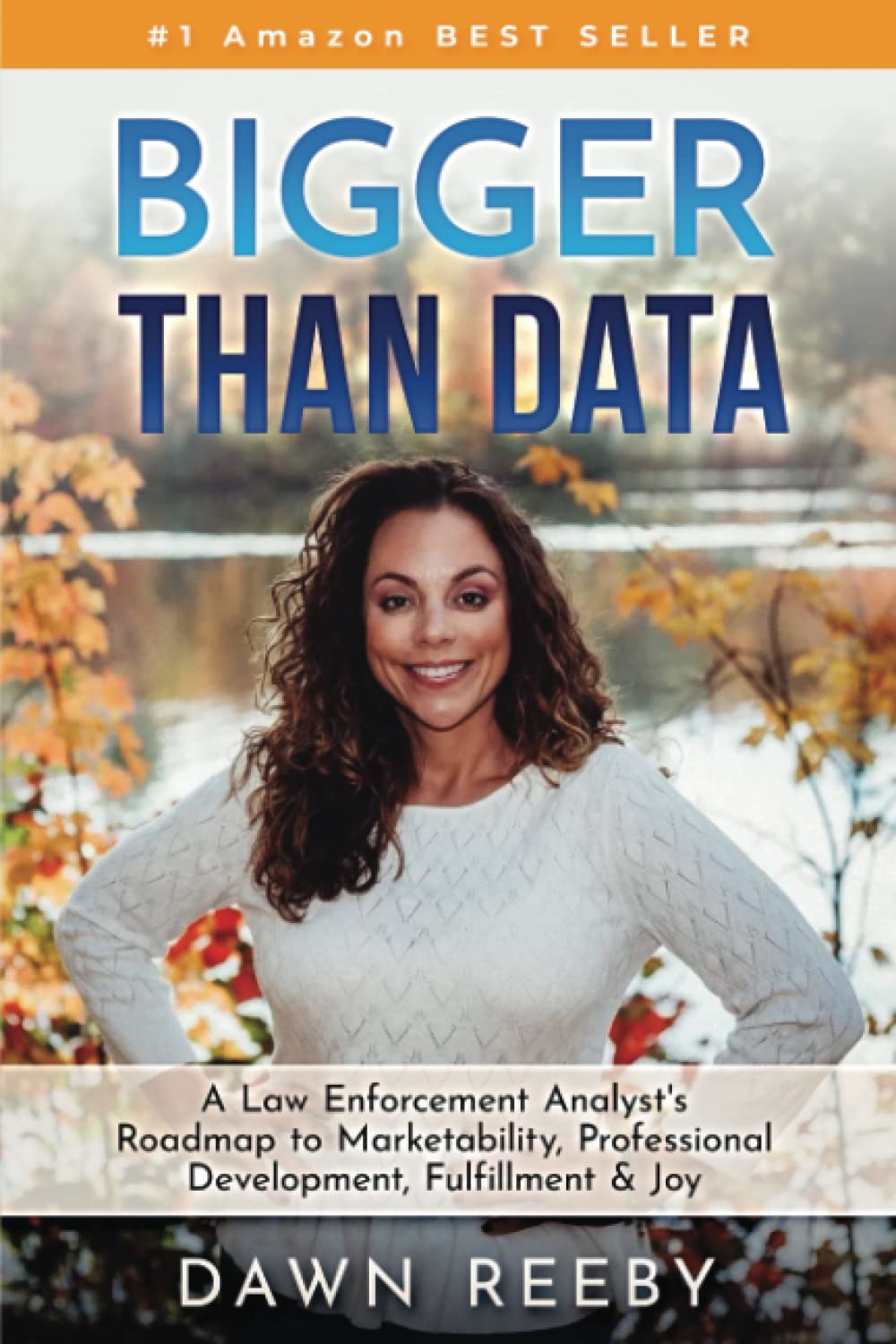 Bigger Than Data: A Law Enforcement Analyst's Roadmap to Marketability ...