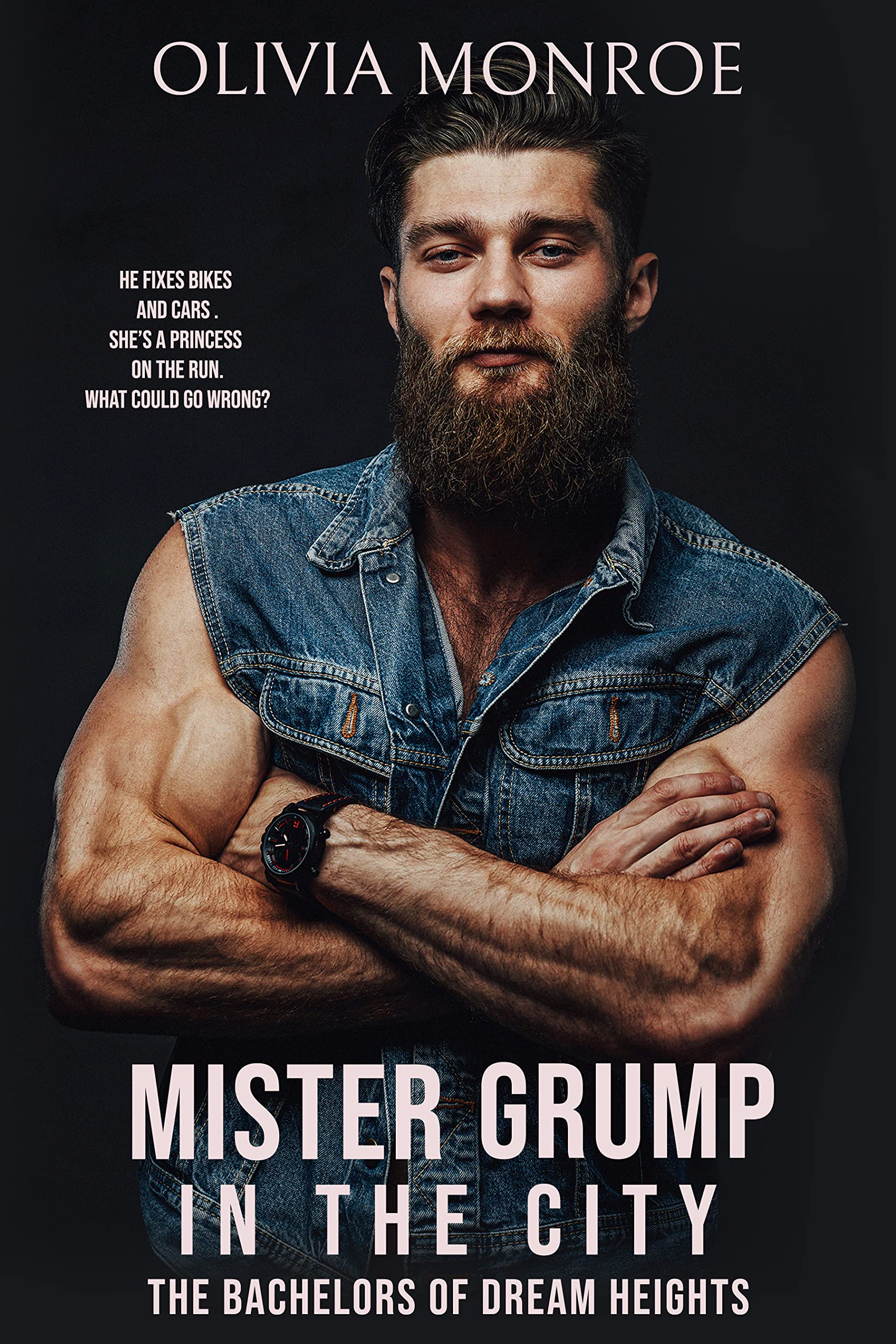 Mister Grump in the City by Olivia Monroe | Goodreads