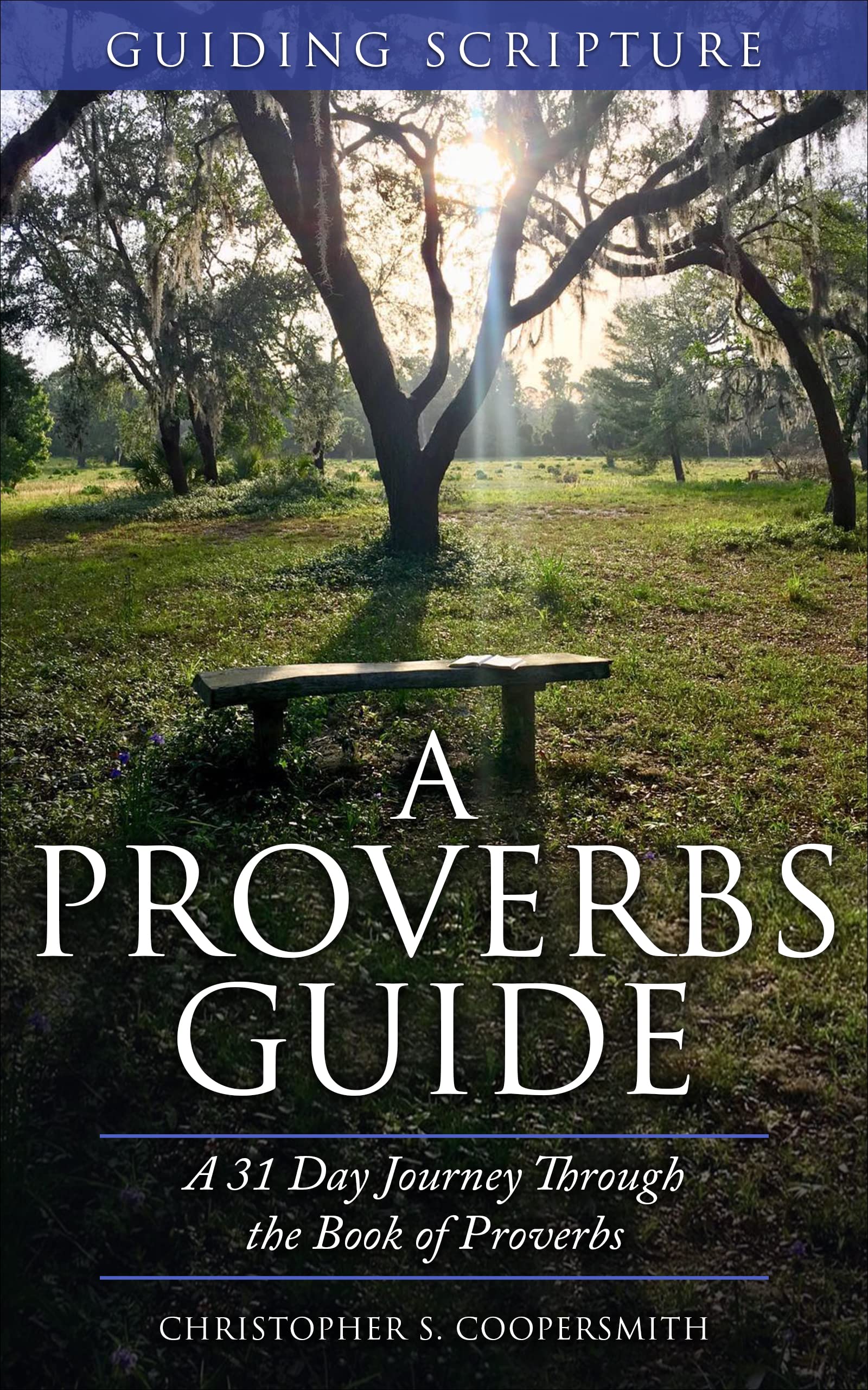 A Proverbs Guide: A 31 Day Journey Through the Book of Proverbs by ...