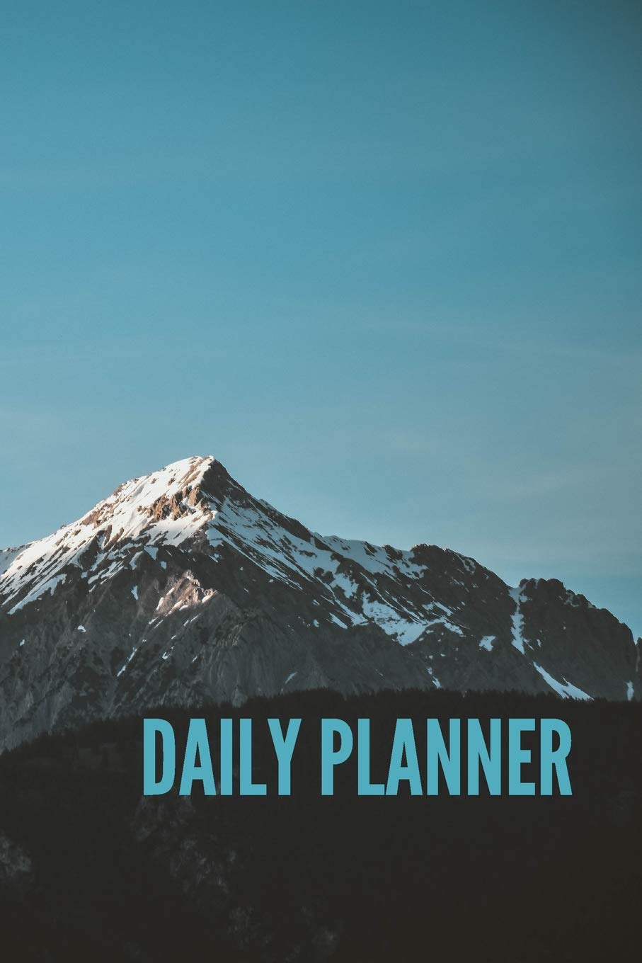 Daily Planner: Full year (366 pages) High Performance Planner by ...